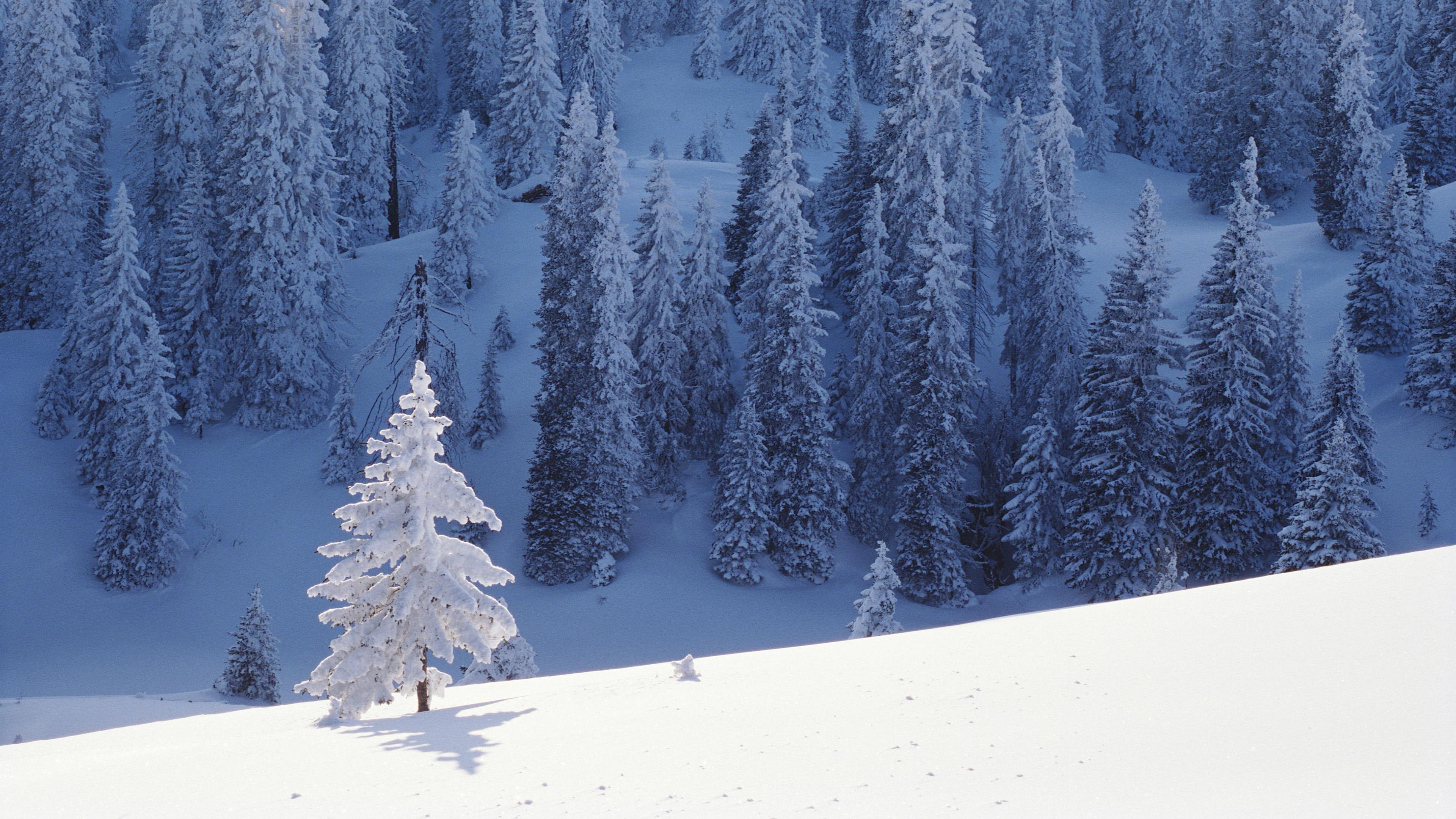 Snow Window Wallpapers - Top Free Snow Window Backgrounds - WallpaperAccess