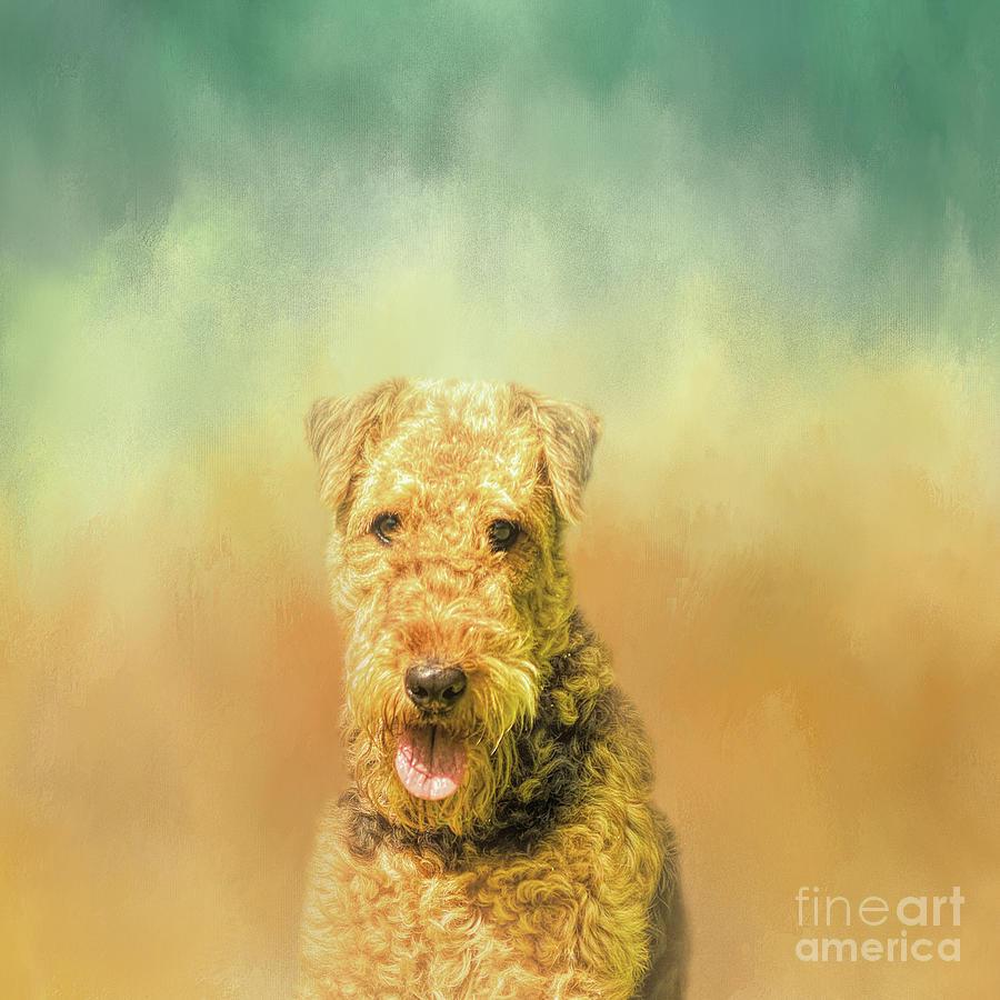 Airedale Terrier Wallpapers - Top Free Airedale Terrier Backgrounds ...