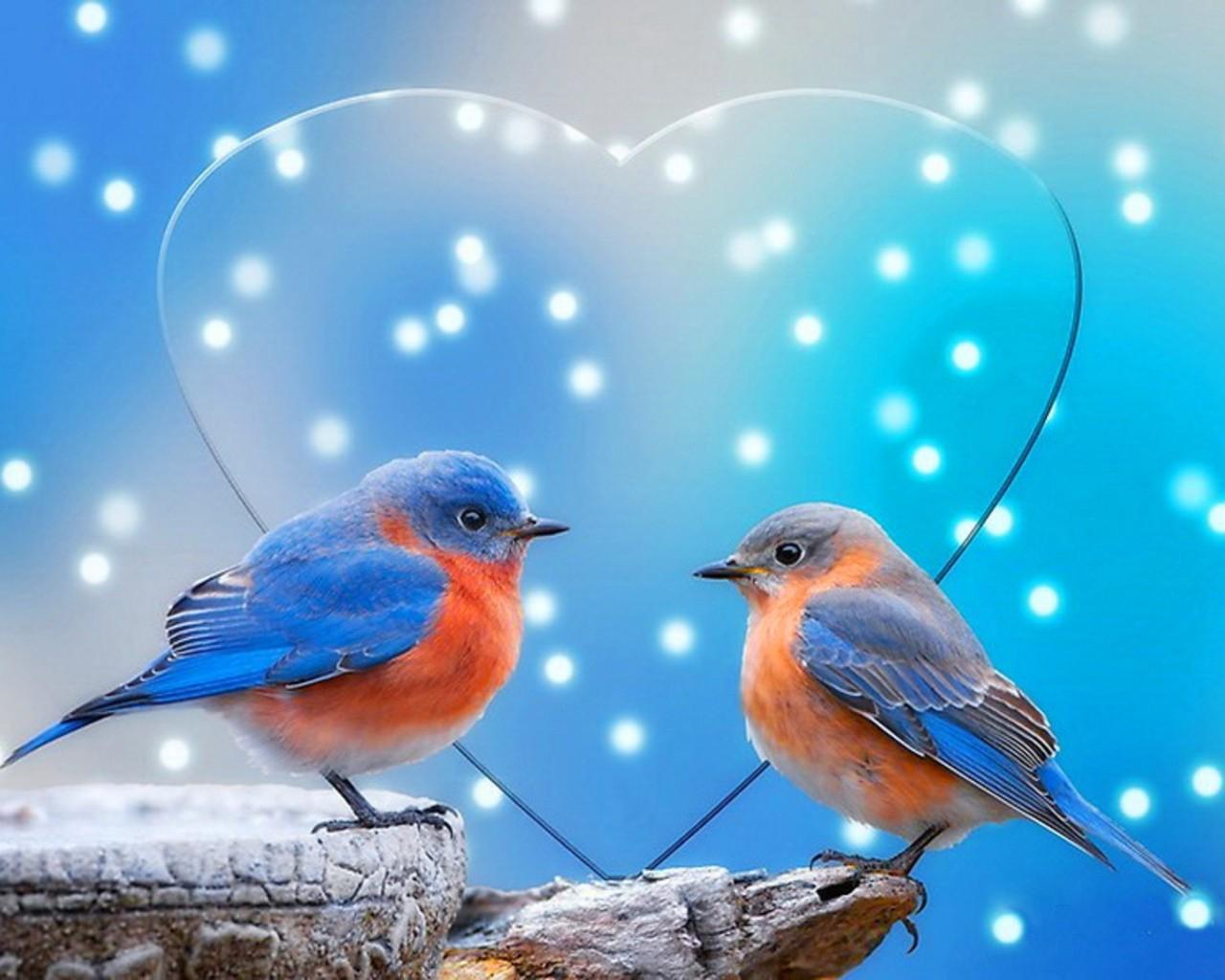 Snow Love Wallpapers - Top Free Snow Love Backgrounds - WallpaperAccess