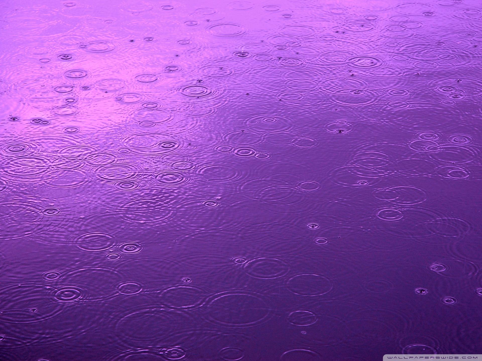 Purple Day Wallpapers - Top Free Purple Day Backgrounds - WallpaperAccess