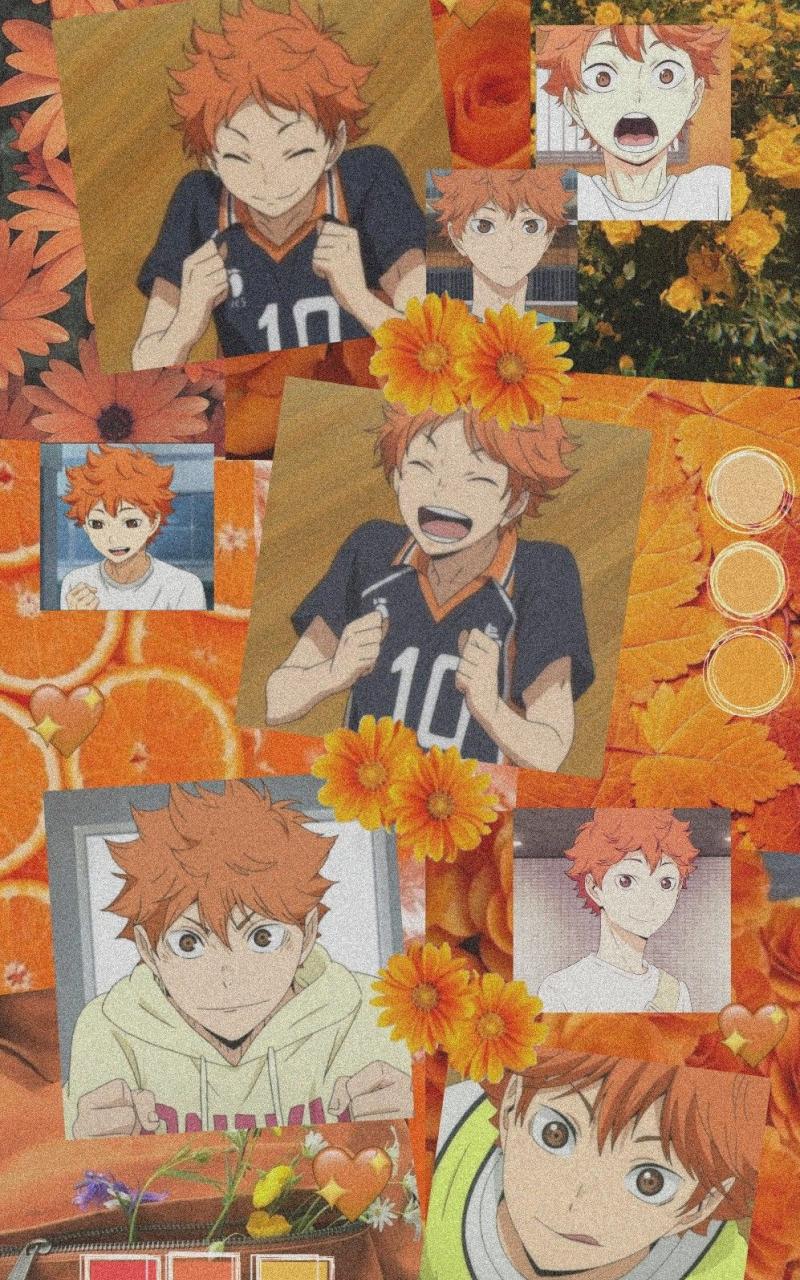 Haikyuu Collage Wallpapers - Top Free Haikyuu Collage Backgrounds ...
