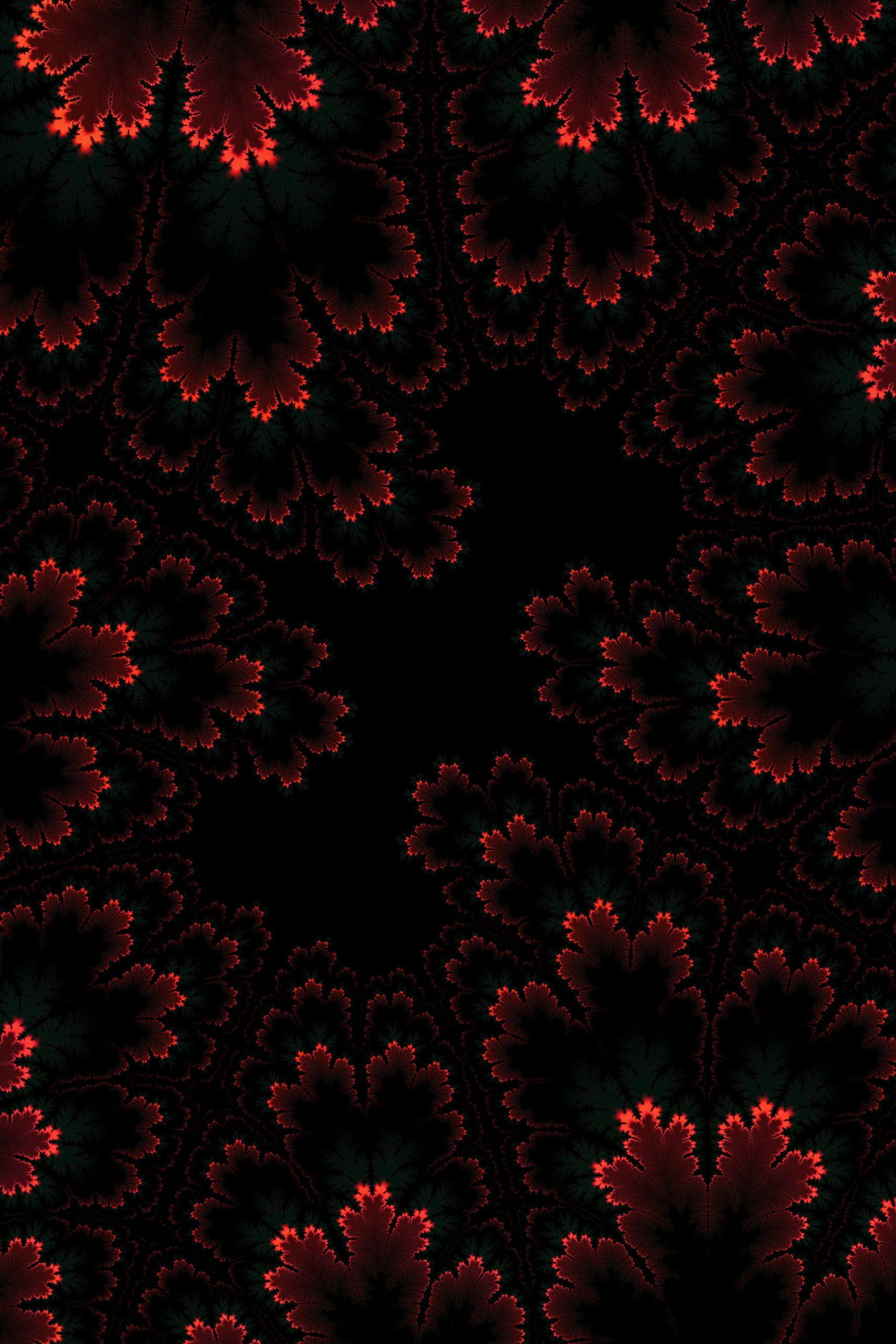 Black and White AMOLED Wallpapers - Top Free Black and White AMOLED ...