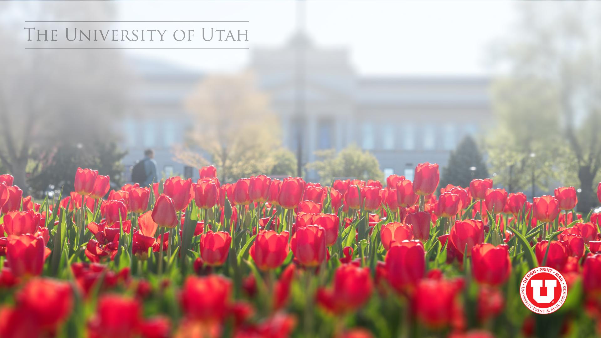 University of Utah Logo Wallpapers - Top Free University of Utah Logo Backgrounds - WallpaperAccess