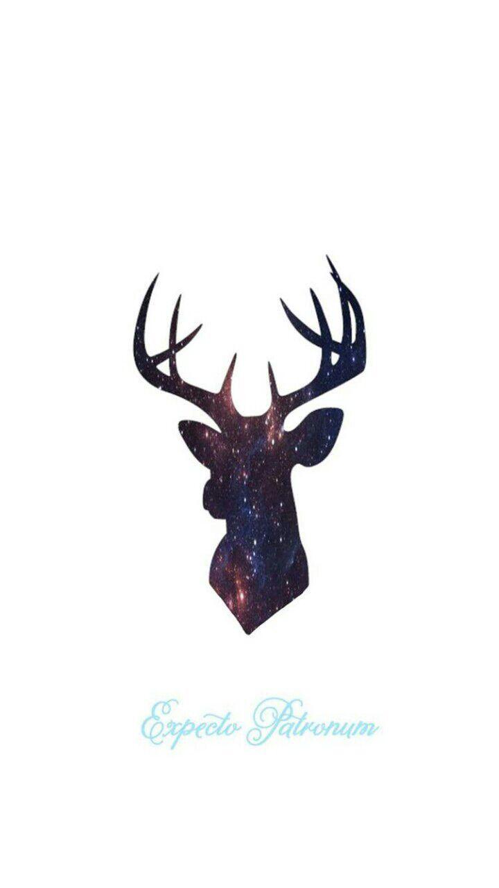 Harry Potter Patronus Wallpapers - Top Free Harry Potter Patronus ...