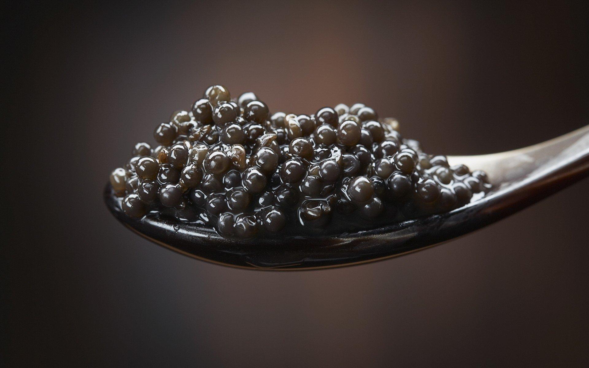 Caviar Wallpapers - Top Free Caviar Backgrounds - WallpaperAccess