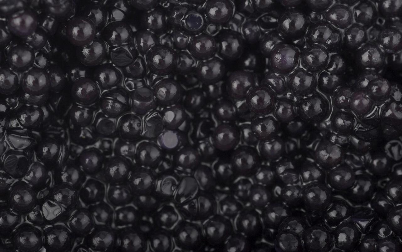 Caviar Wallpapers - Top Free Caviar Backgrounds - WallpaperAccess