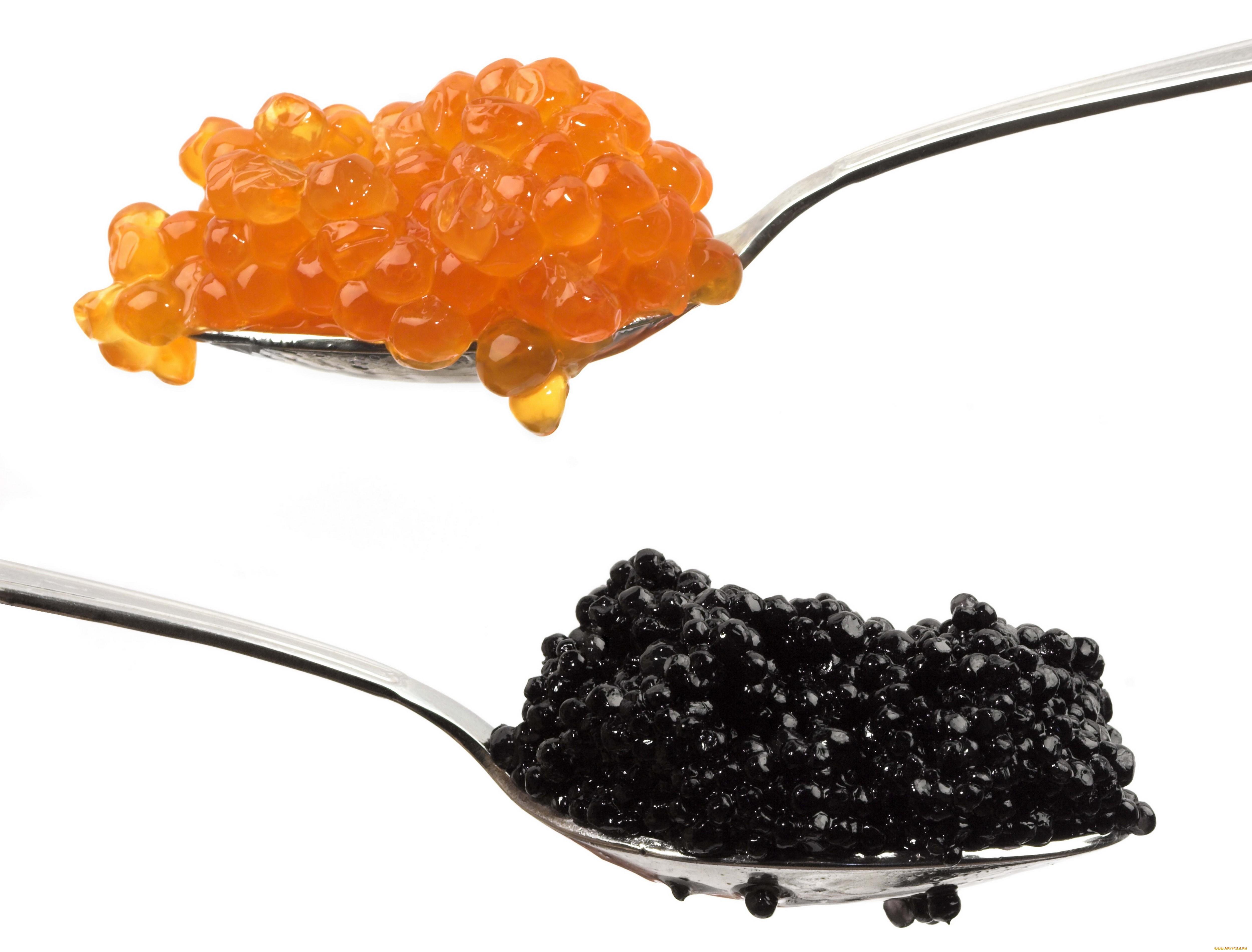 Caviar Wallpapers - Top Free Caviar Backgrounds - WallpaperAccess