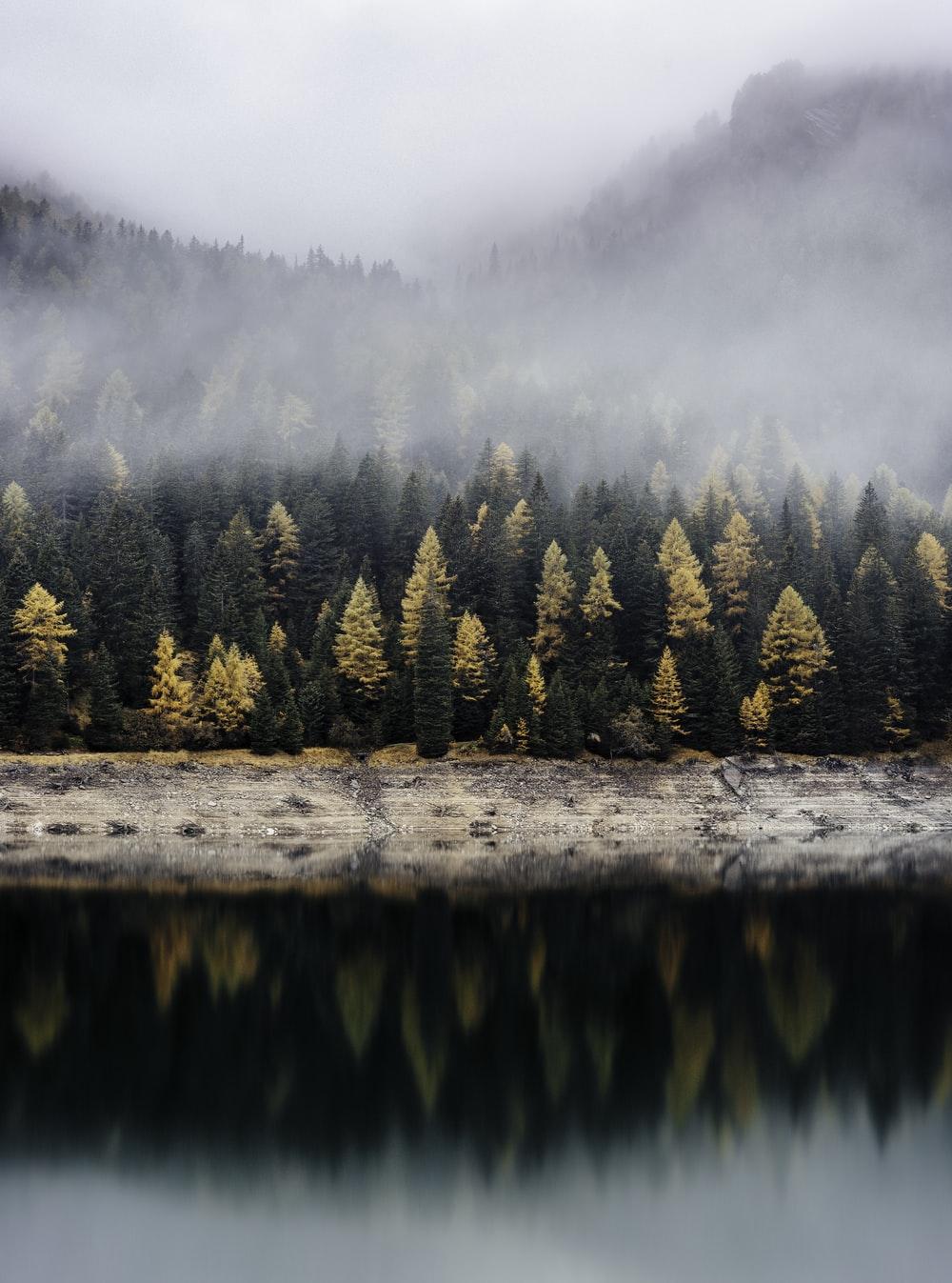 Fog Autumn Wallpapers - Top Free Fog Autumn Backgrounds - WallpaperAccess