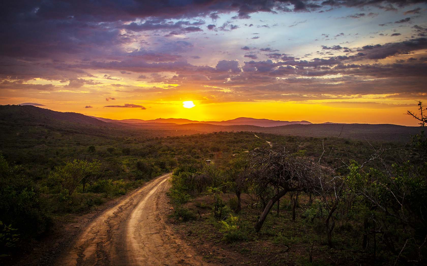 Wakanda Landscape Wallpapers - Top Free Wakanda Landscape Backgrounds ...