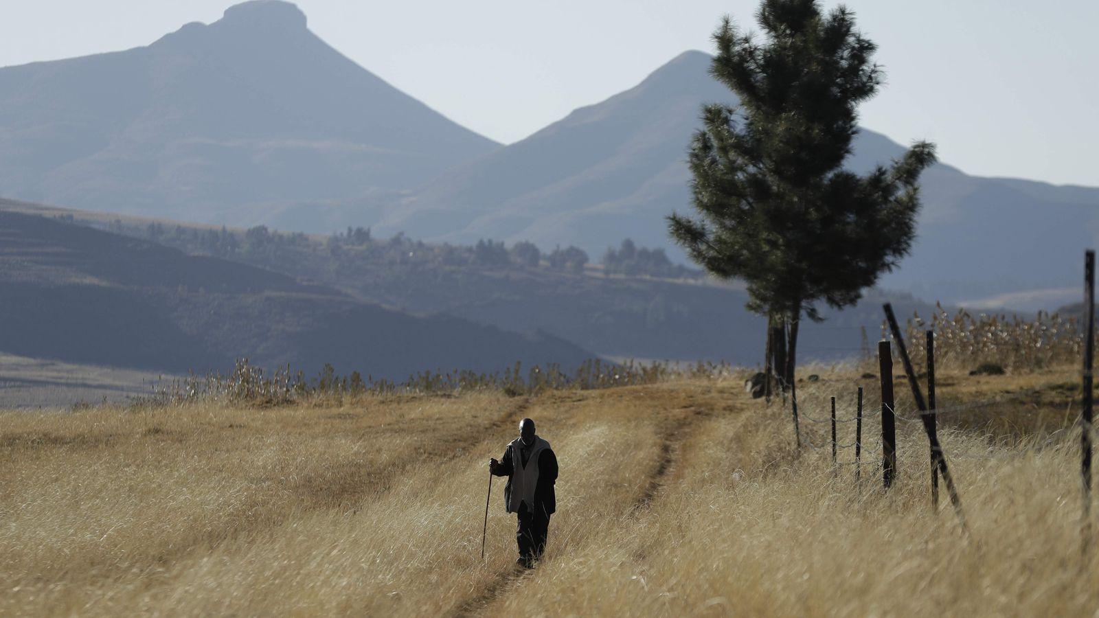 Wakanda Landscape Wallpapers - Top Free Wakanda Landscape Backgrounds ...