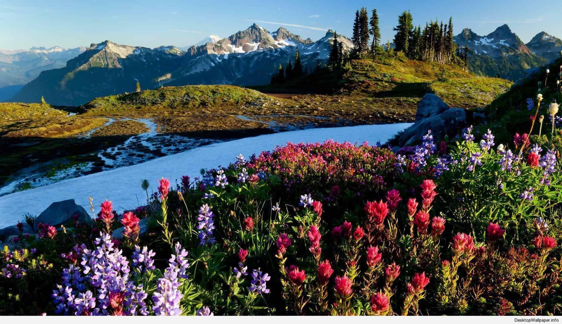 Spring Mountain Scenes Wallpapers - Top Free Spring Mountain Scenes ...