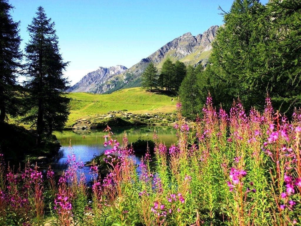 Spring Mountain Scenes Wallpapers - Top Free Spring Mountain Scenes ...