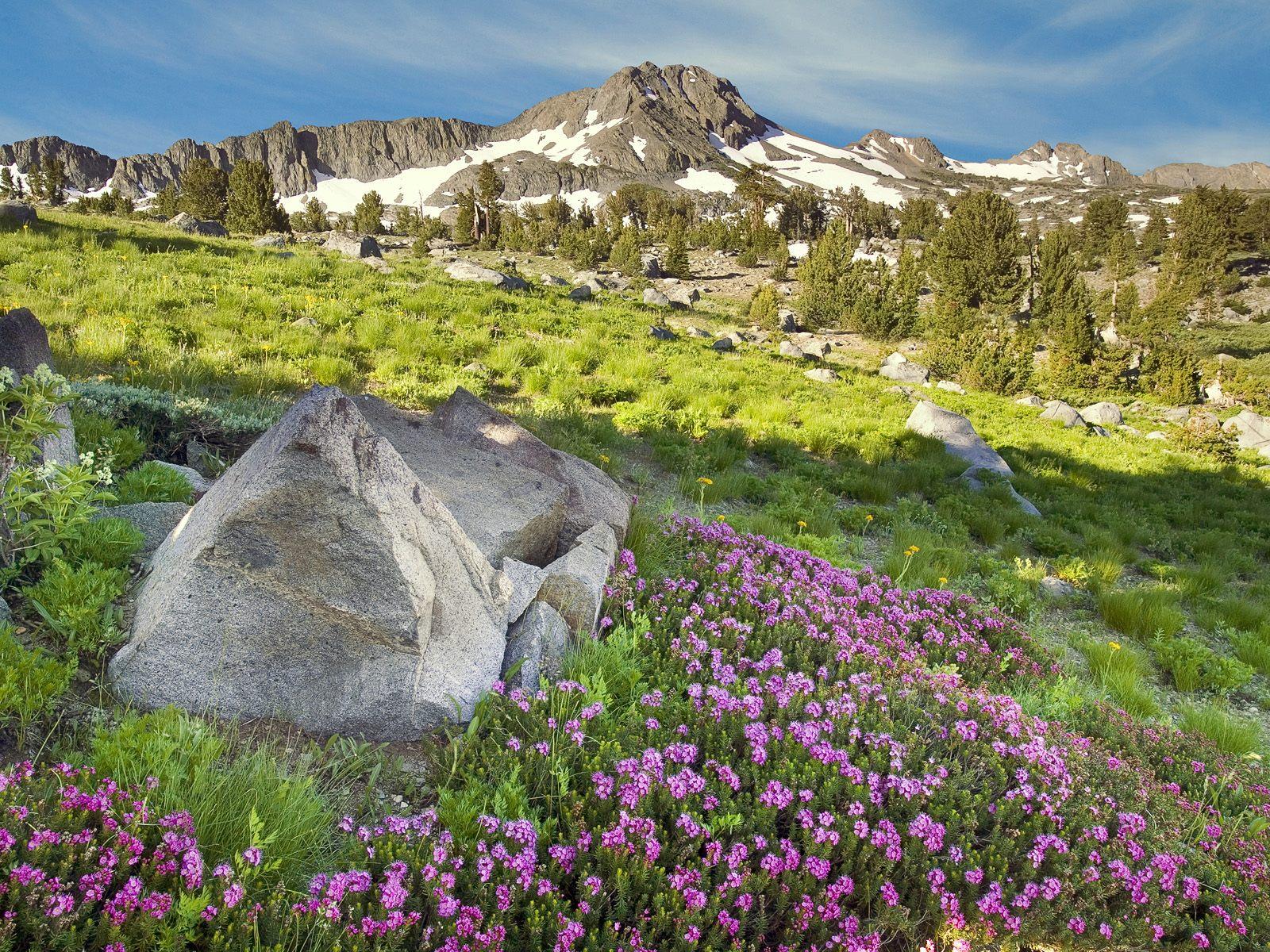 Spring Mountain Scenes Wallpapers - Top Free Spring Mountain Scenes ...