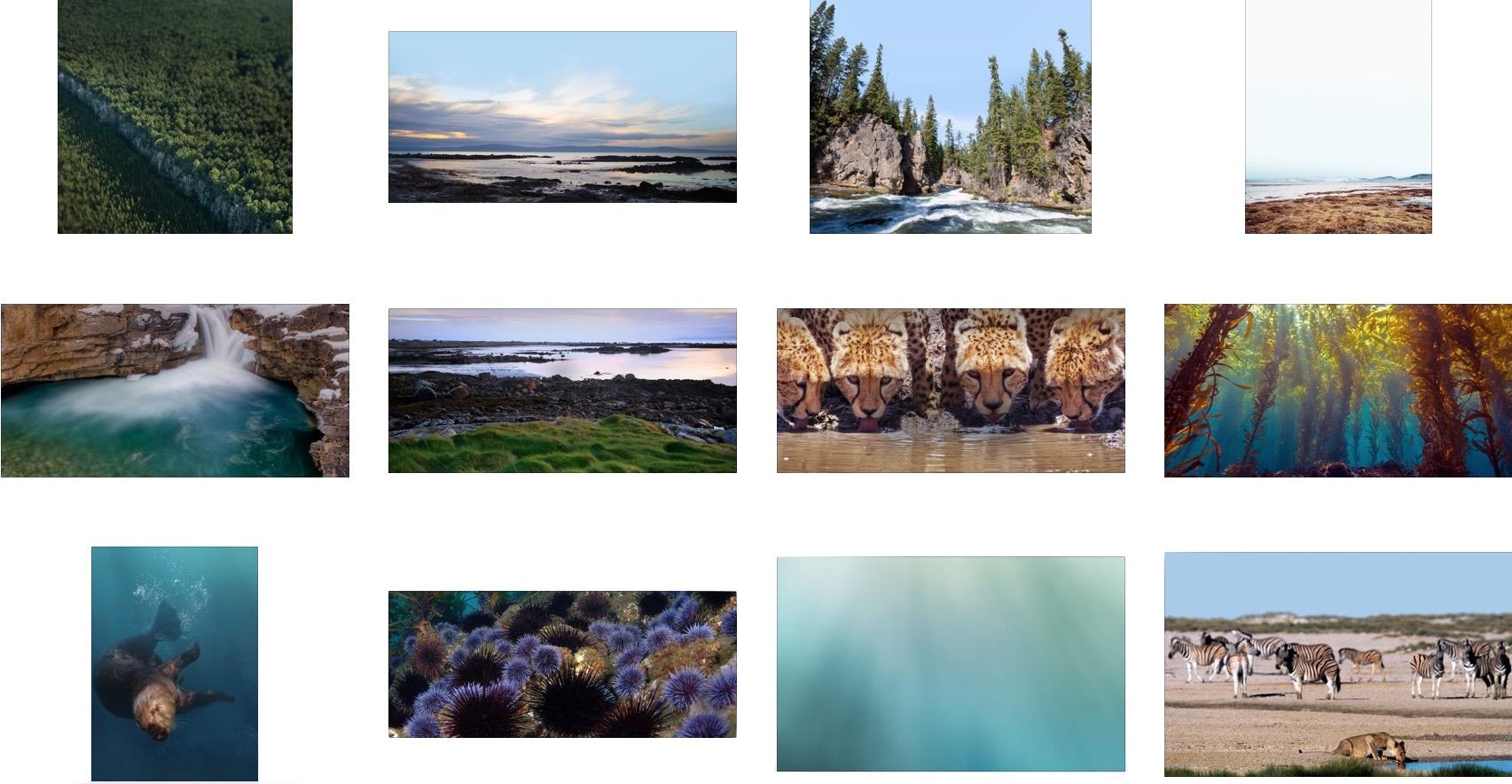 Apple Nature Wallpapers - Top Free Apple Nature Backgrounds ...