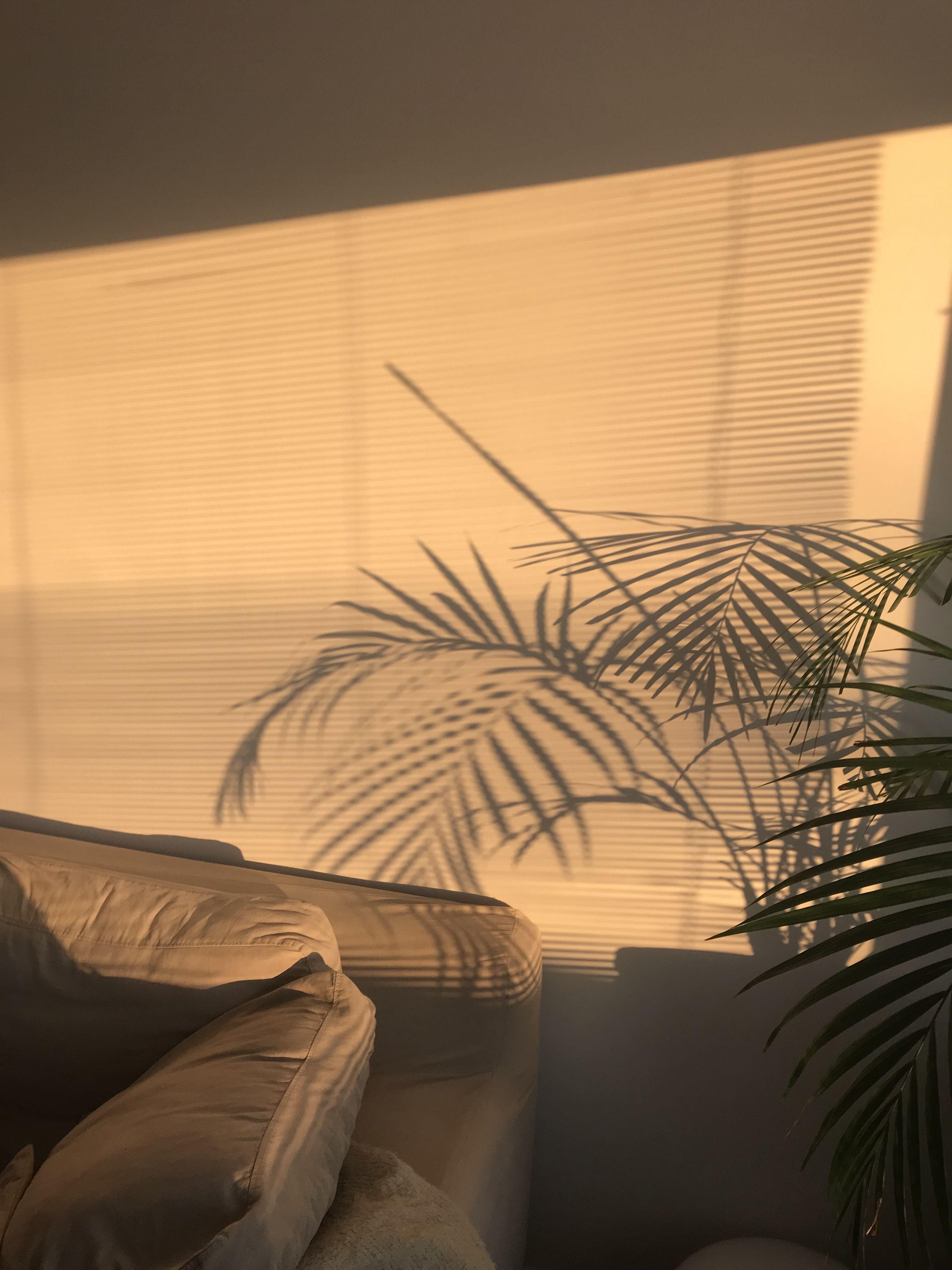 Yellow Chill Aesthetic Wallpapers - Top Free Yellow Chill Aesthetic ...