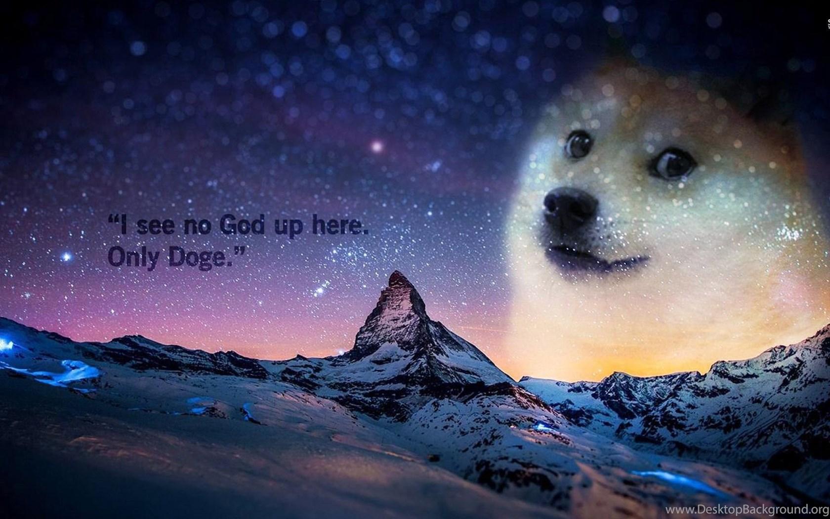 Doggo Meme Wallpapers - Top Free Doggo Meme Backgrounds - WallpaperAccess