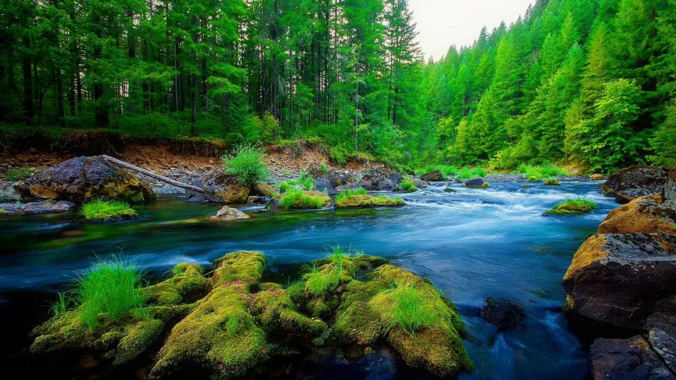 Beautiful Green Forest Wallpapers - Top Free Beautiful Green Forest ...