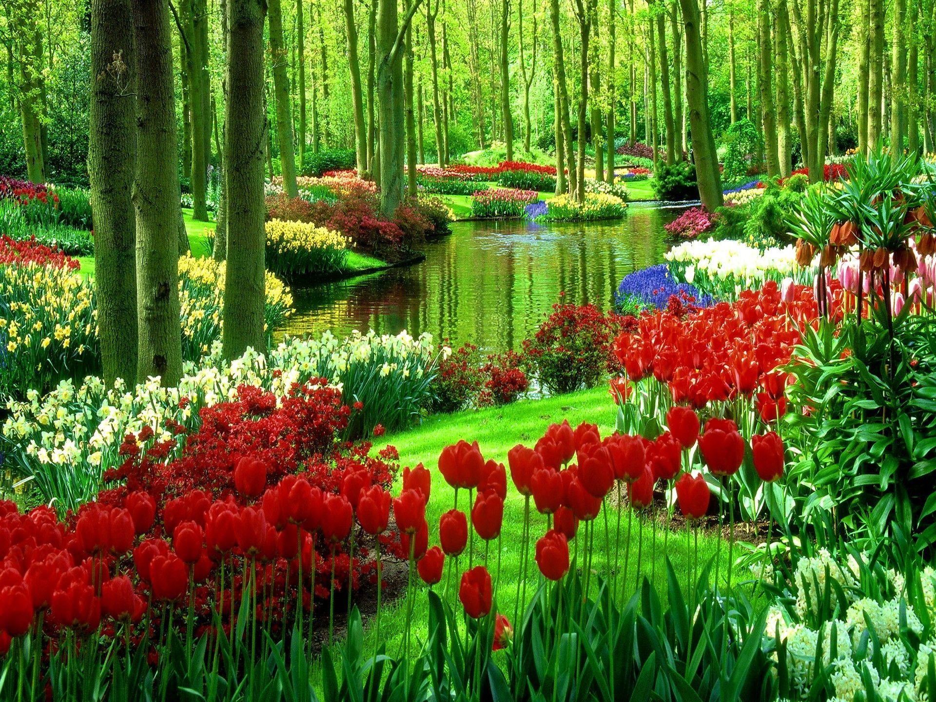 Natural Garden Wallpapers - Top Free Natural Garden Backgrounds ...