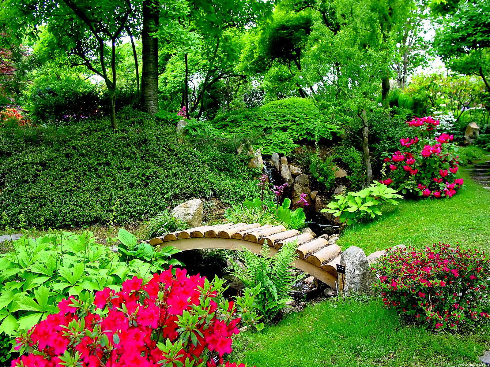 Natural Garden Wallpapers - Top Free Natural Garden Backgrounds ...