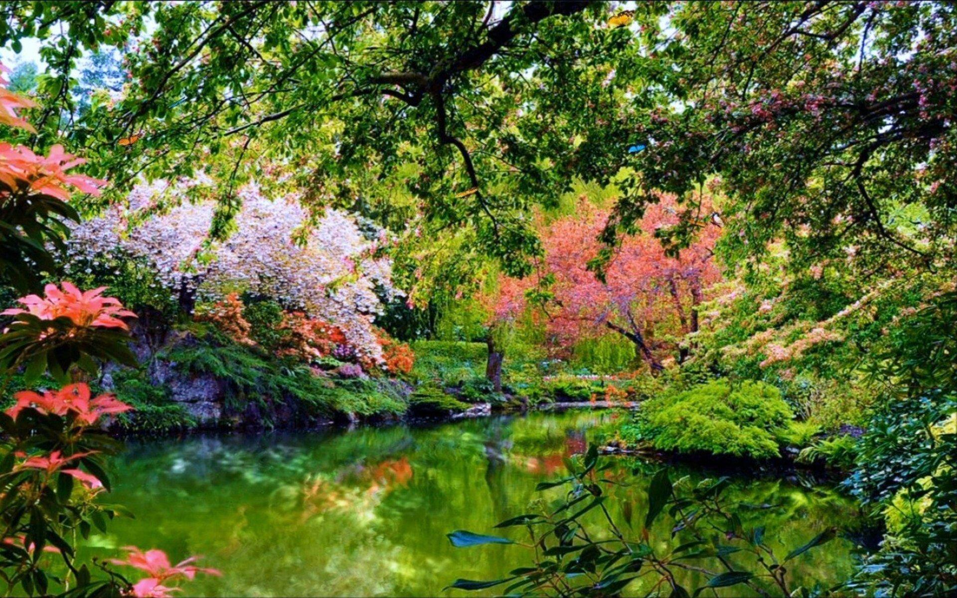Natural Garden Wallpapers - Top Free Natural Garden Backgrounds ...
