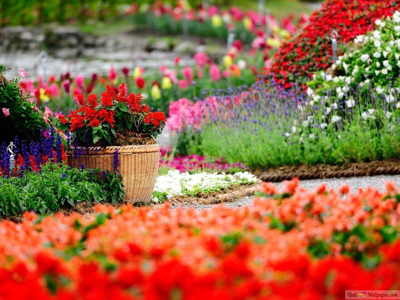 Natural Garden Wallpapers - Top Free Natural Garden Backgrounds ...