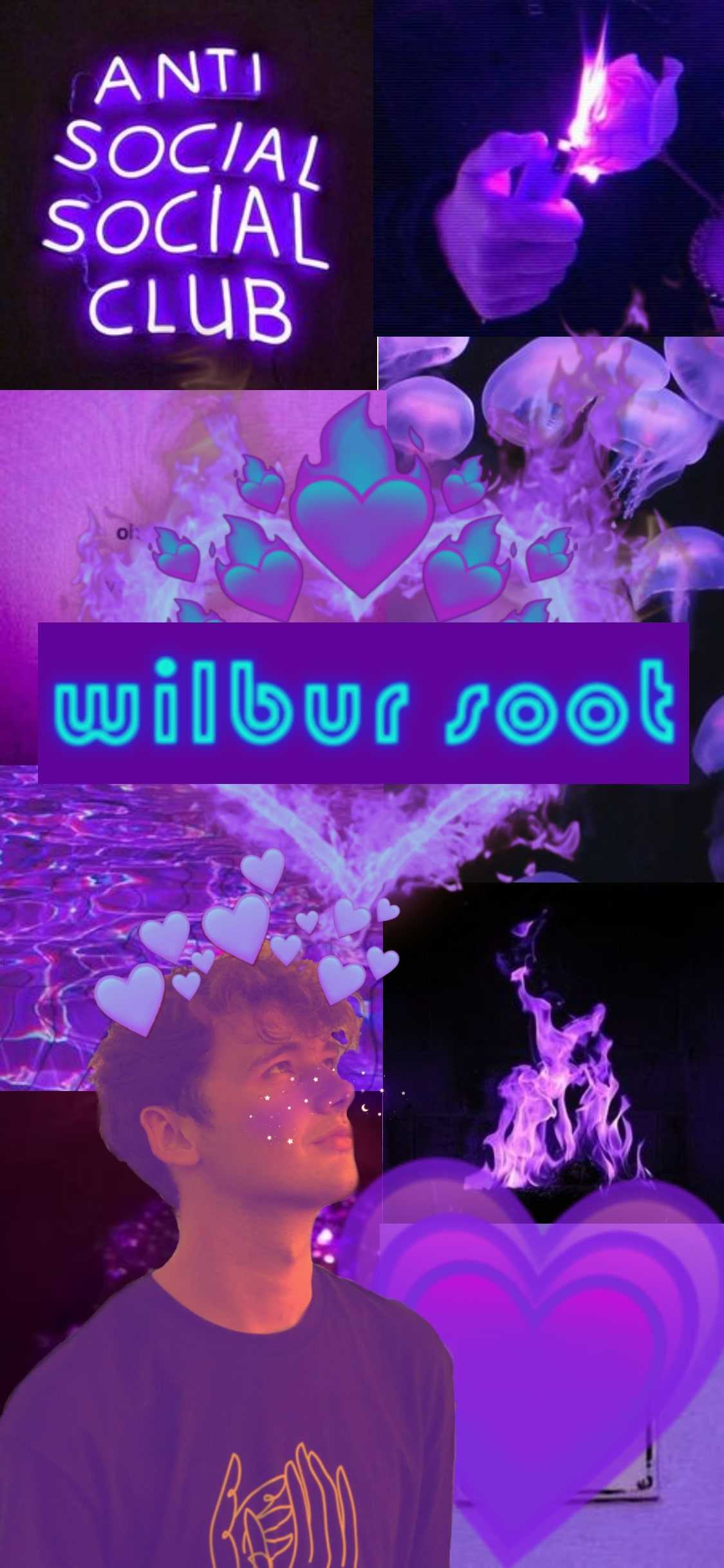 Willbur Soot Wallpapers - Top Free Willbur Soot Backgrounds ...
