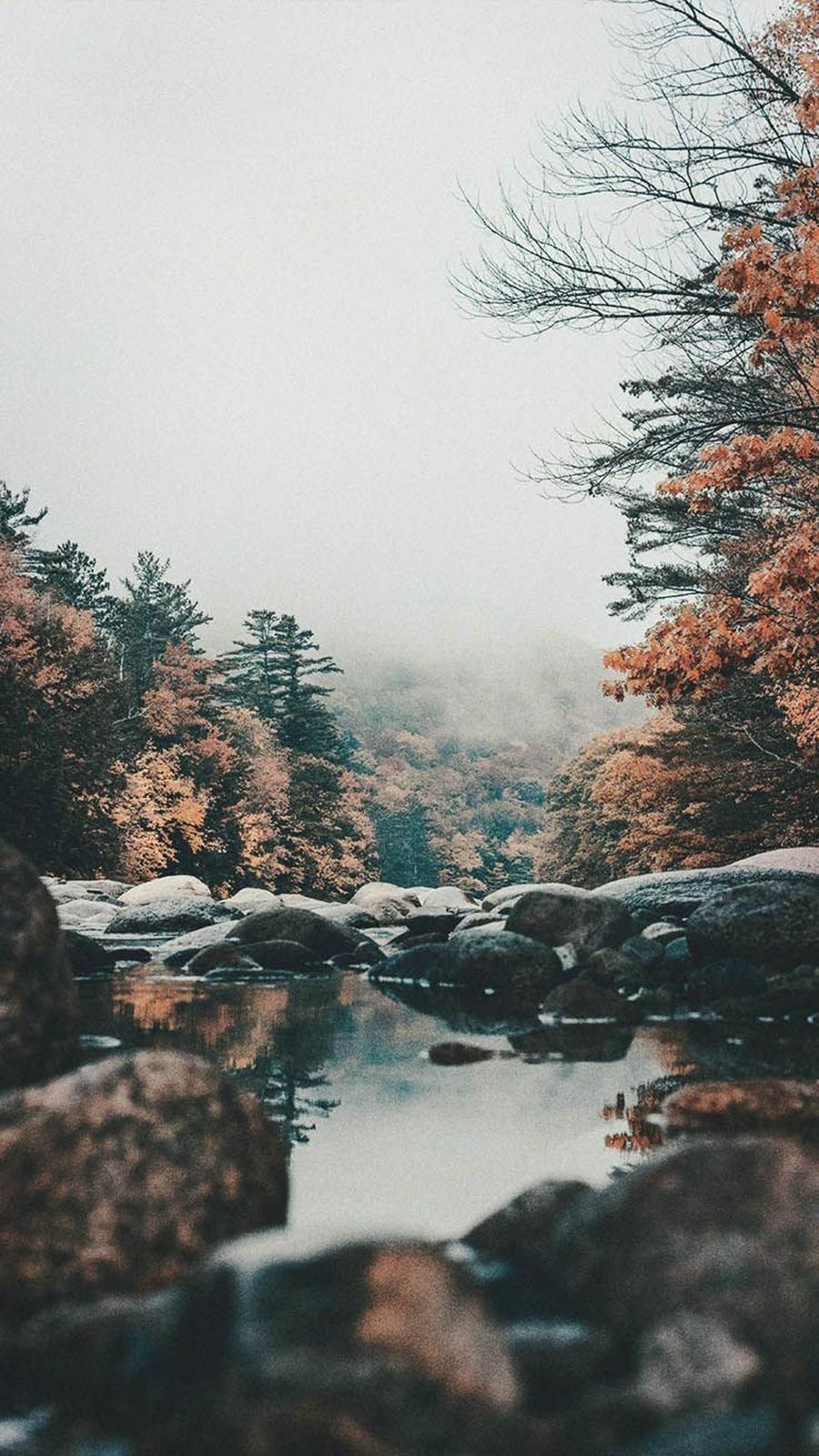 4k Nature Phone Wallpapers - Top Free 4k Nature Phone Backgrounds ...