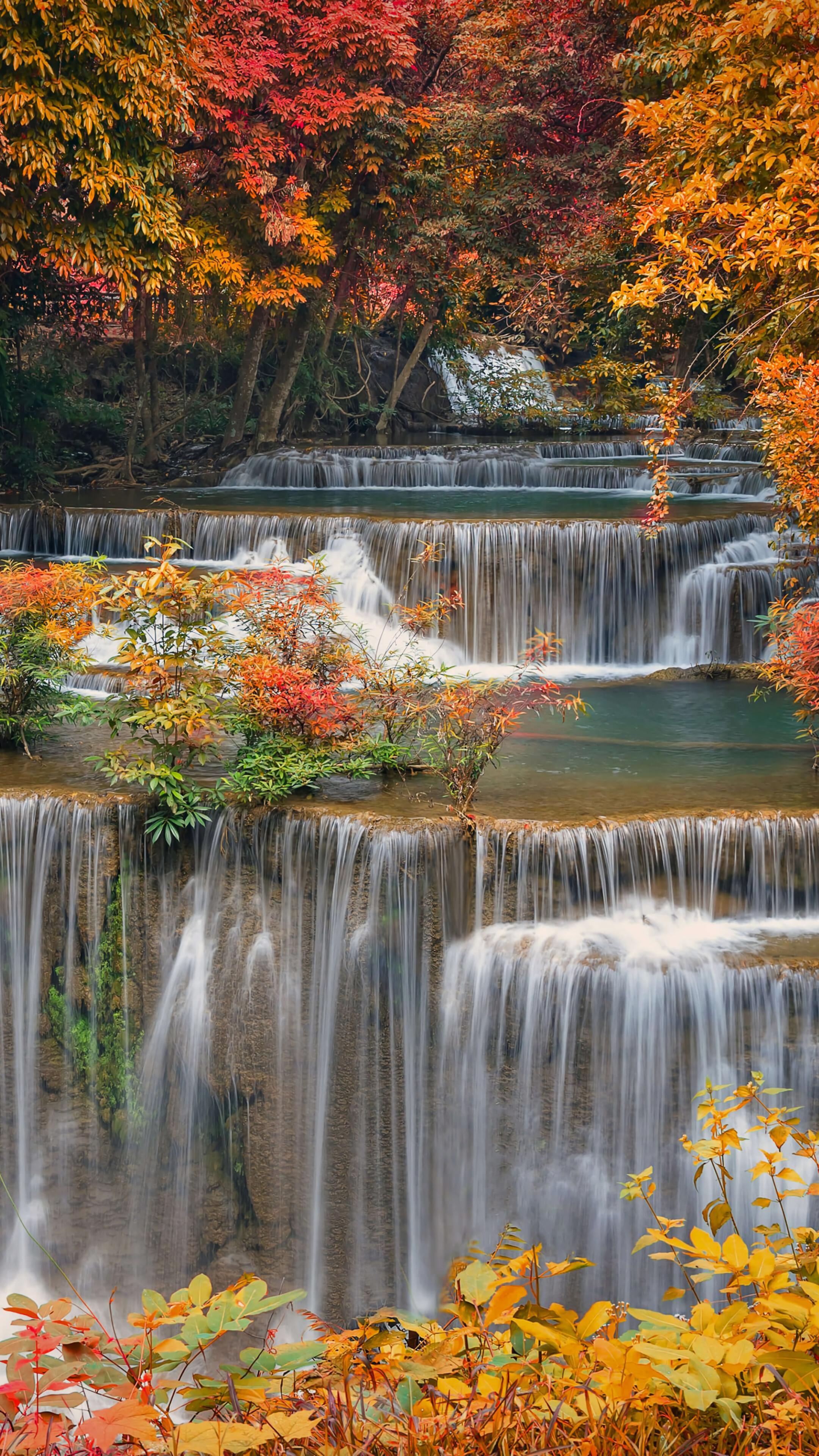 4k Nature Phone Wallpapers - Top Free 4k Nature Phone Backgrounds ...
