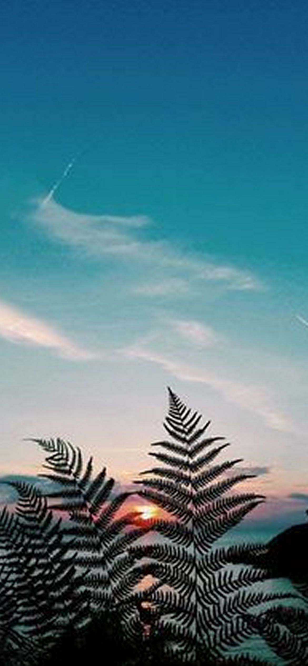 4k Nature Phone Wallpapers - Top Free 4k Nature Phone Backgrounds ...