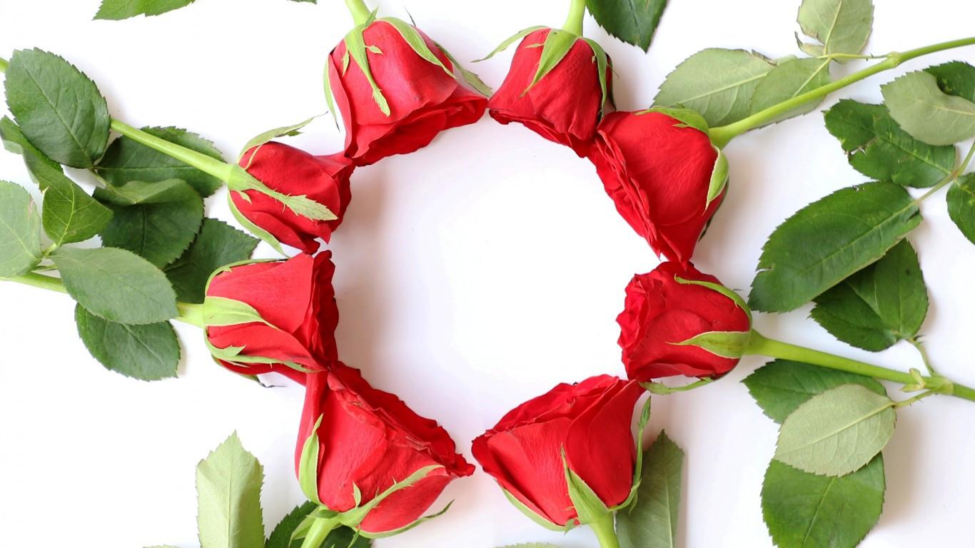 Red Roses Laptop Wallpapers - Top Free Red Roses Laptop Backgrounds ...