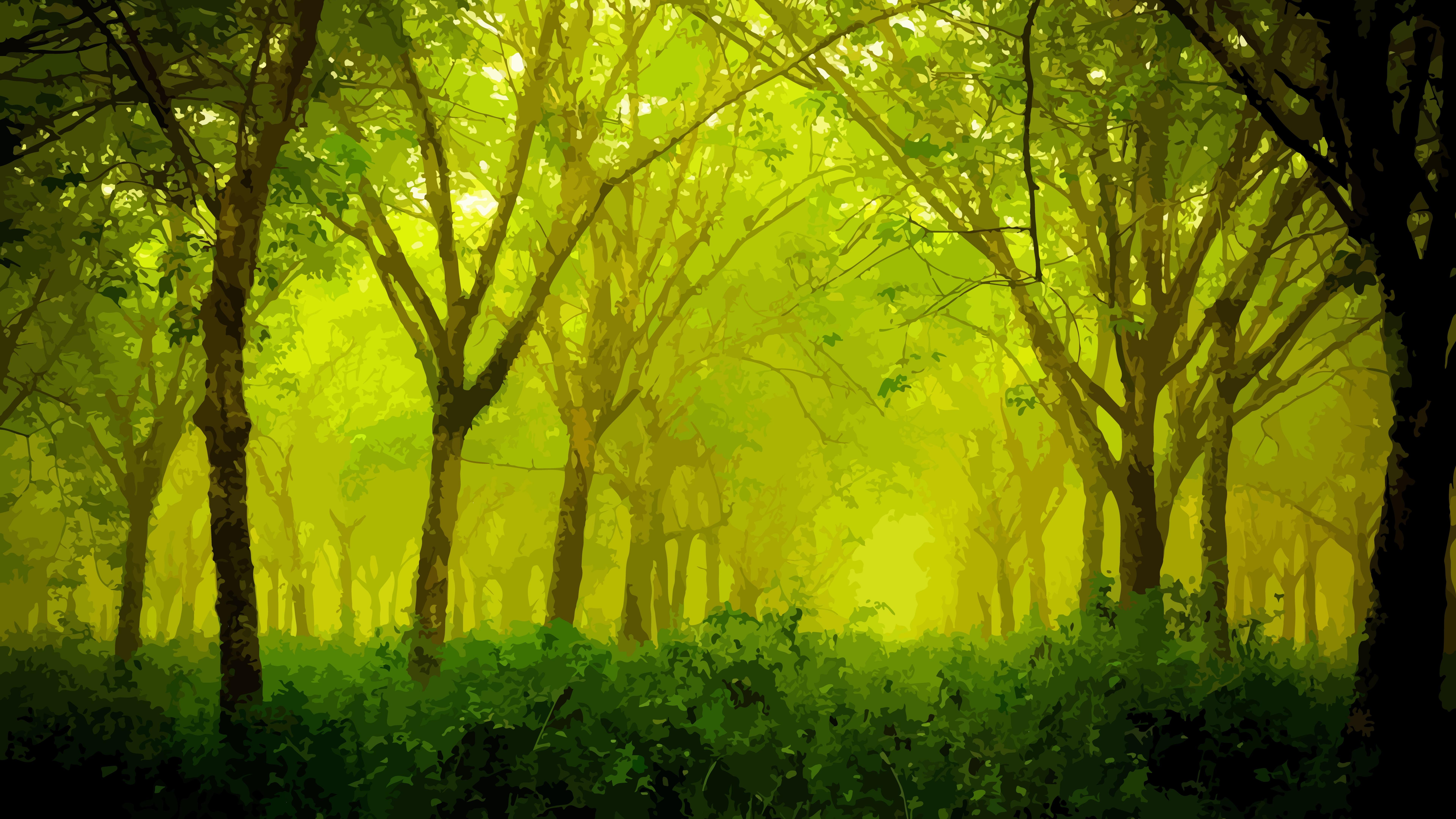 8K Ultra HD Forest Wallpapers - Top Free 8K Ultra HD Forest Backgrounds ...