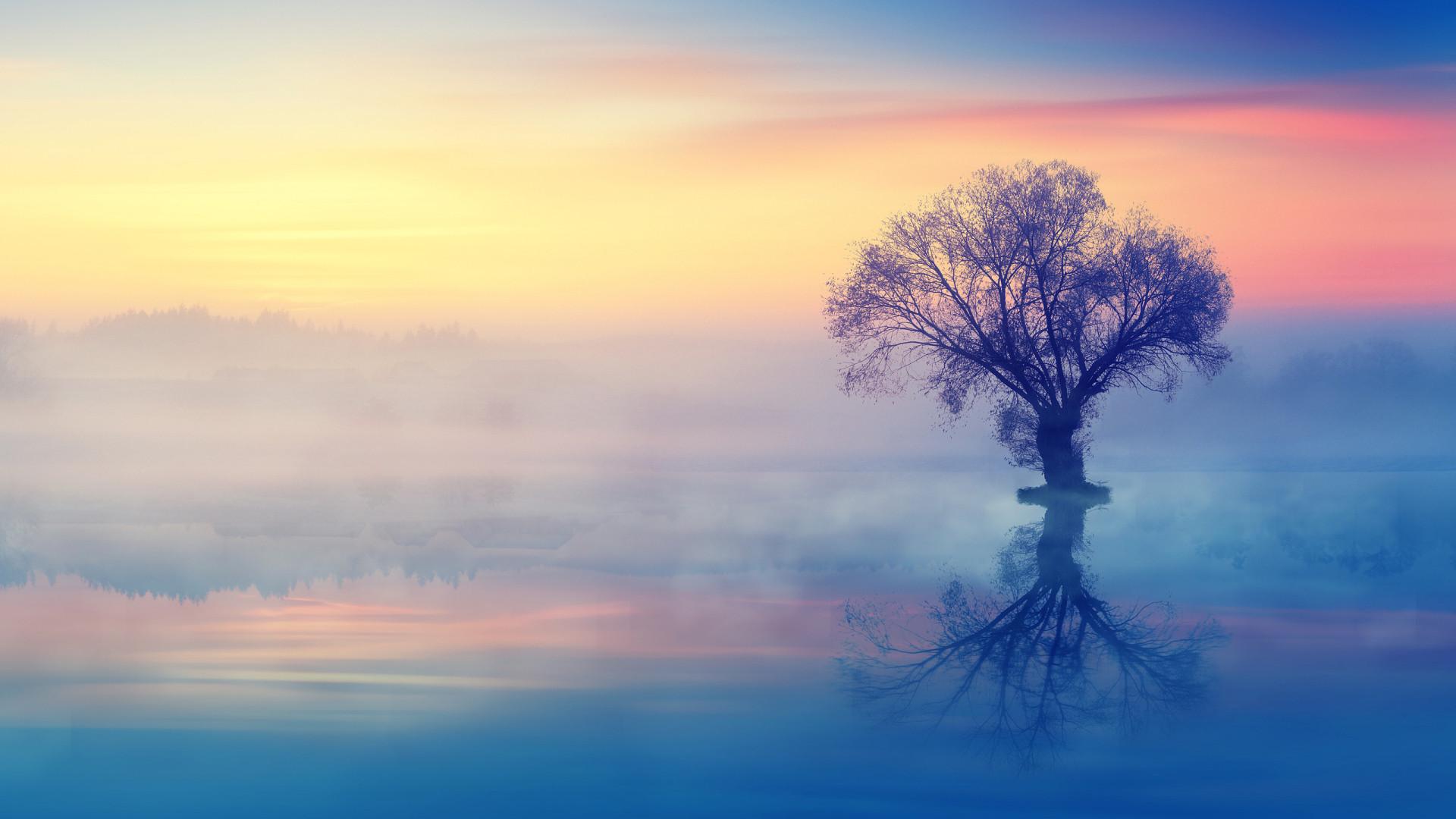 Alone Tree Wallpapers - Top Free Alone Tree Backgrounds - WallpaperAccess