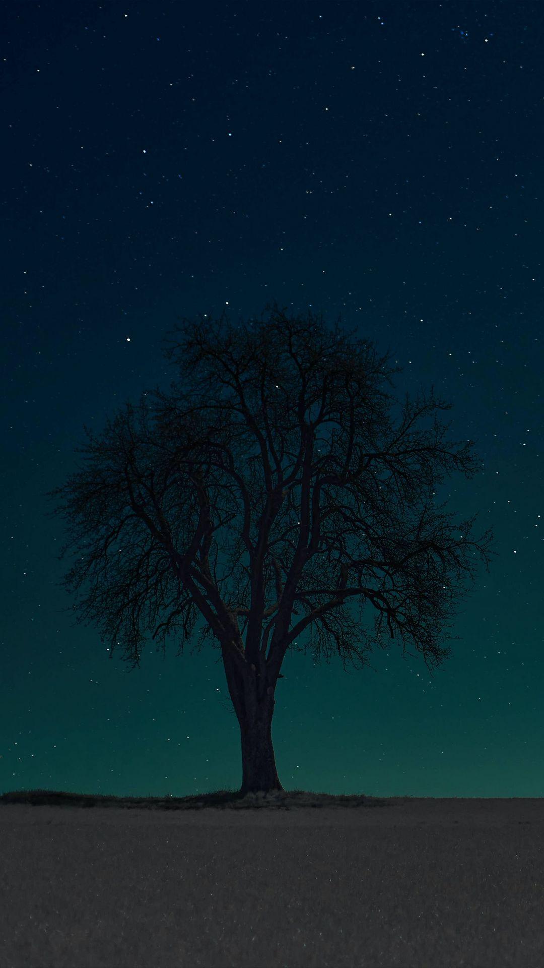 Alone Tree Wallpapers - Top Free Alone Tree Backgrounds - WallpaperAccess
