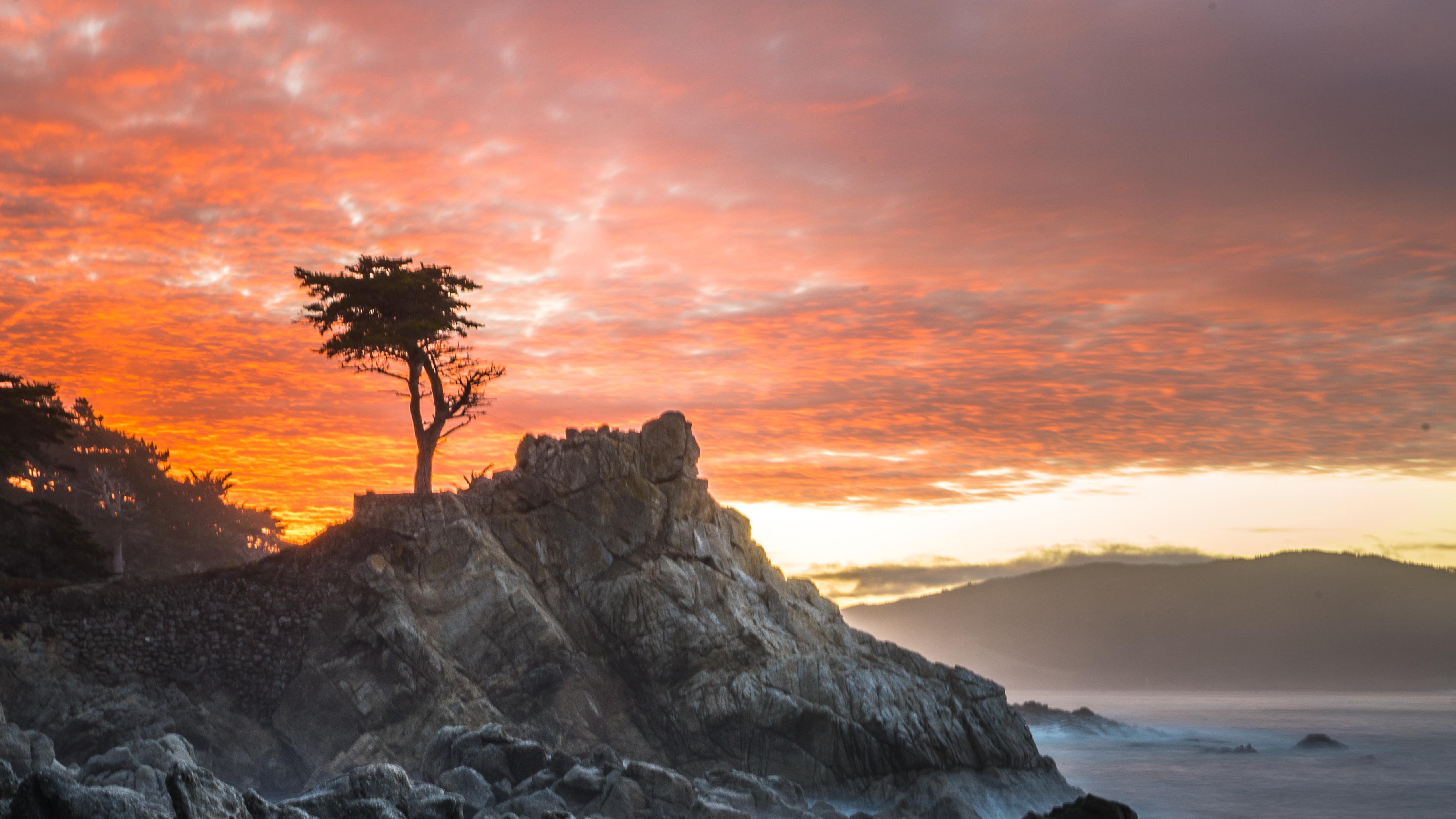 Alone Tree Wallpapers - Top Free Alone Tree Backgrounds - WallpaperAccess