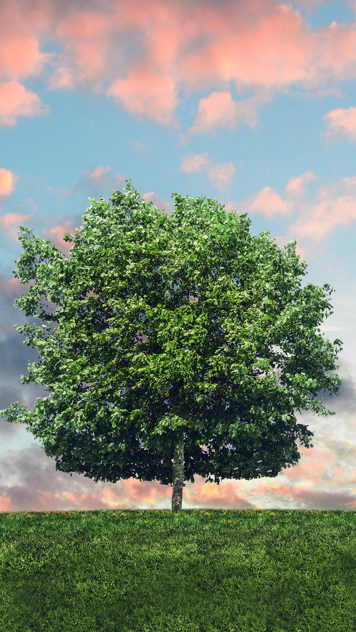 Tree Nature Wallpapers - Top Free Tree Nature Backgrounds - WallpaperAccess