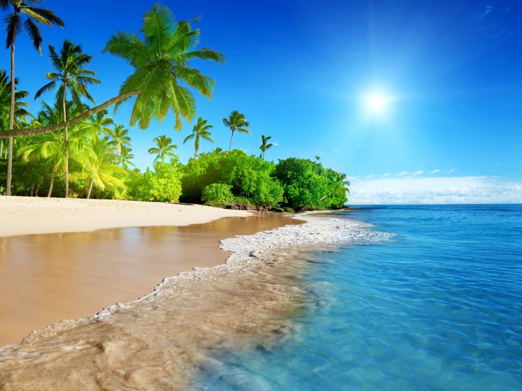 Sunny Tropical Beach Wallpapers - Top Free Sunny Tropical Beach ...