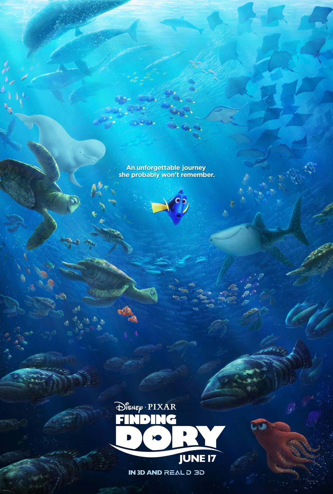 Dory Wallpapers - Top Free Dory Backgrounds - WallpaperAccess