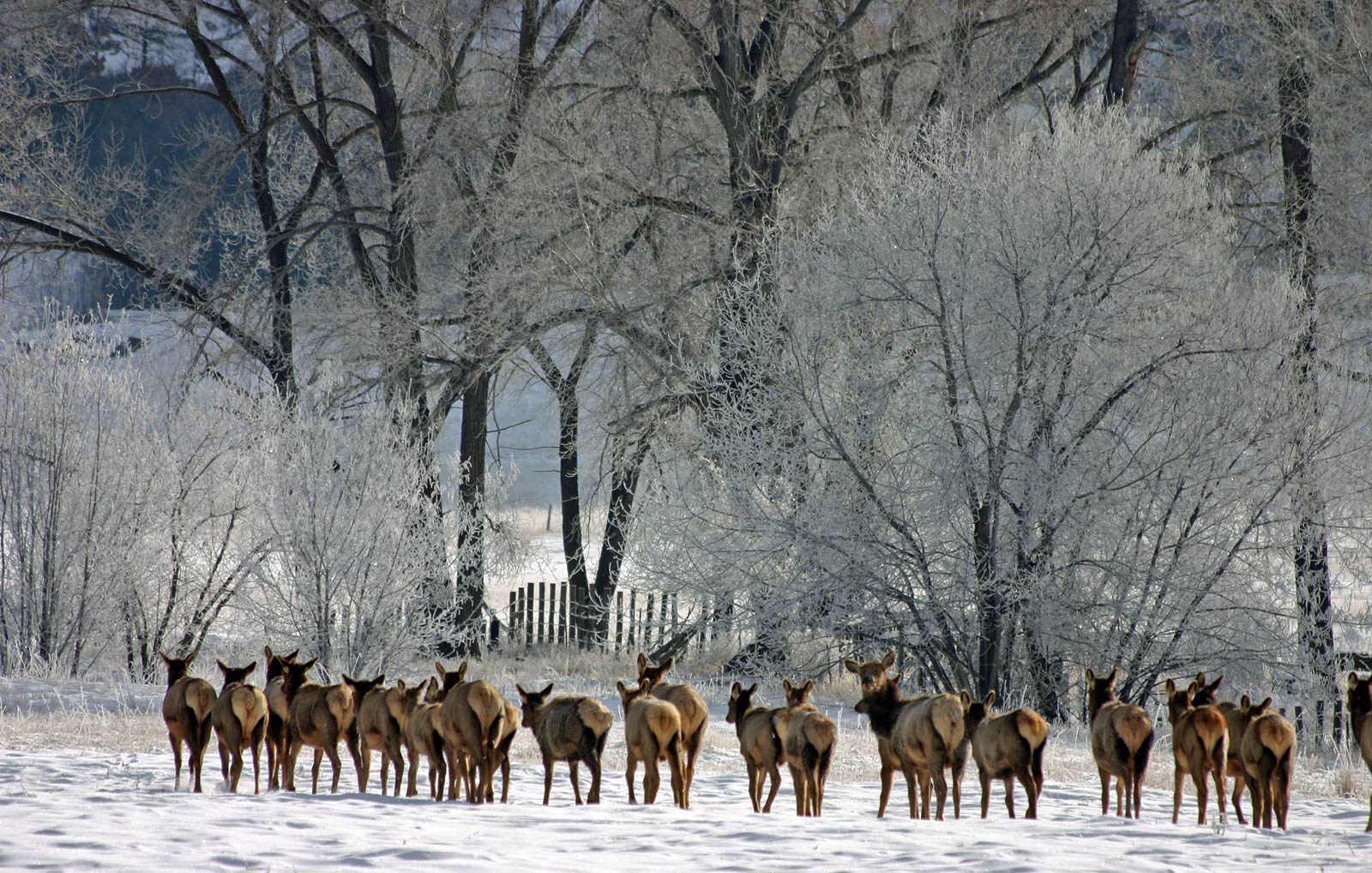 Winter Farm Desktop Wallpapers - Top Free Winter Farm Desktop ...