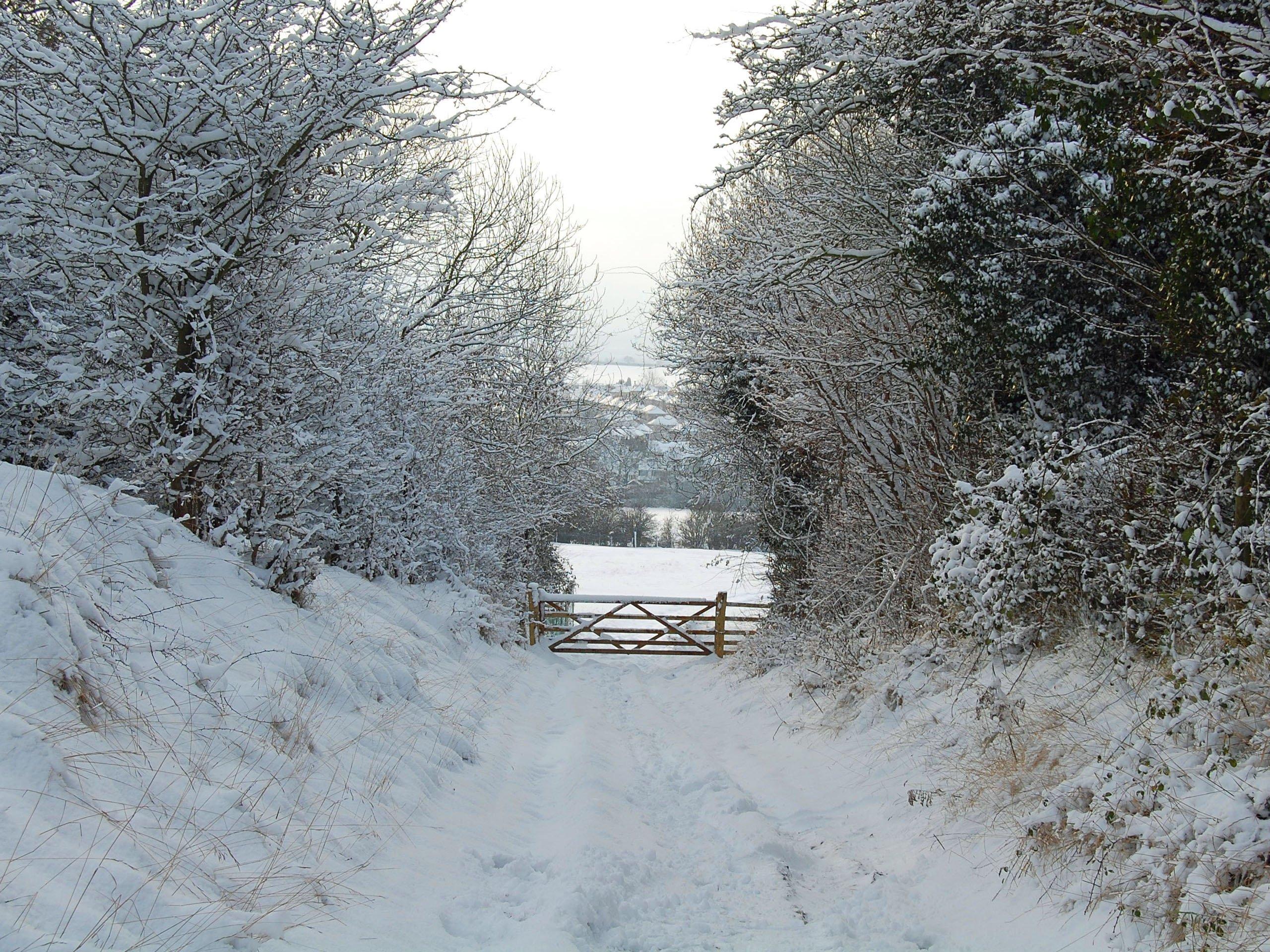 Winter Farm Desktop Wallpapers - Top Free Winter Farm Desktop ...