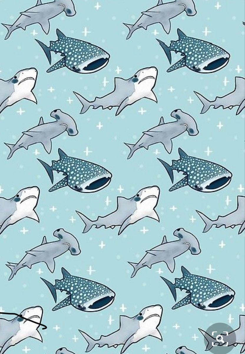 Shark Aesthetic Wallpapers - Top Free Shark Aesthetic Backgrounds ...