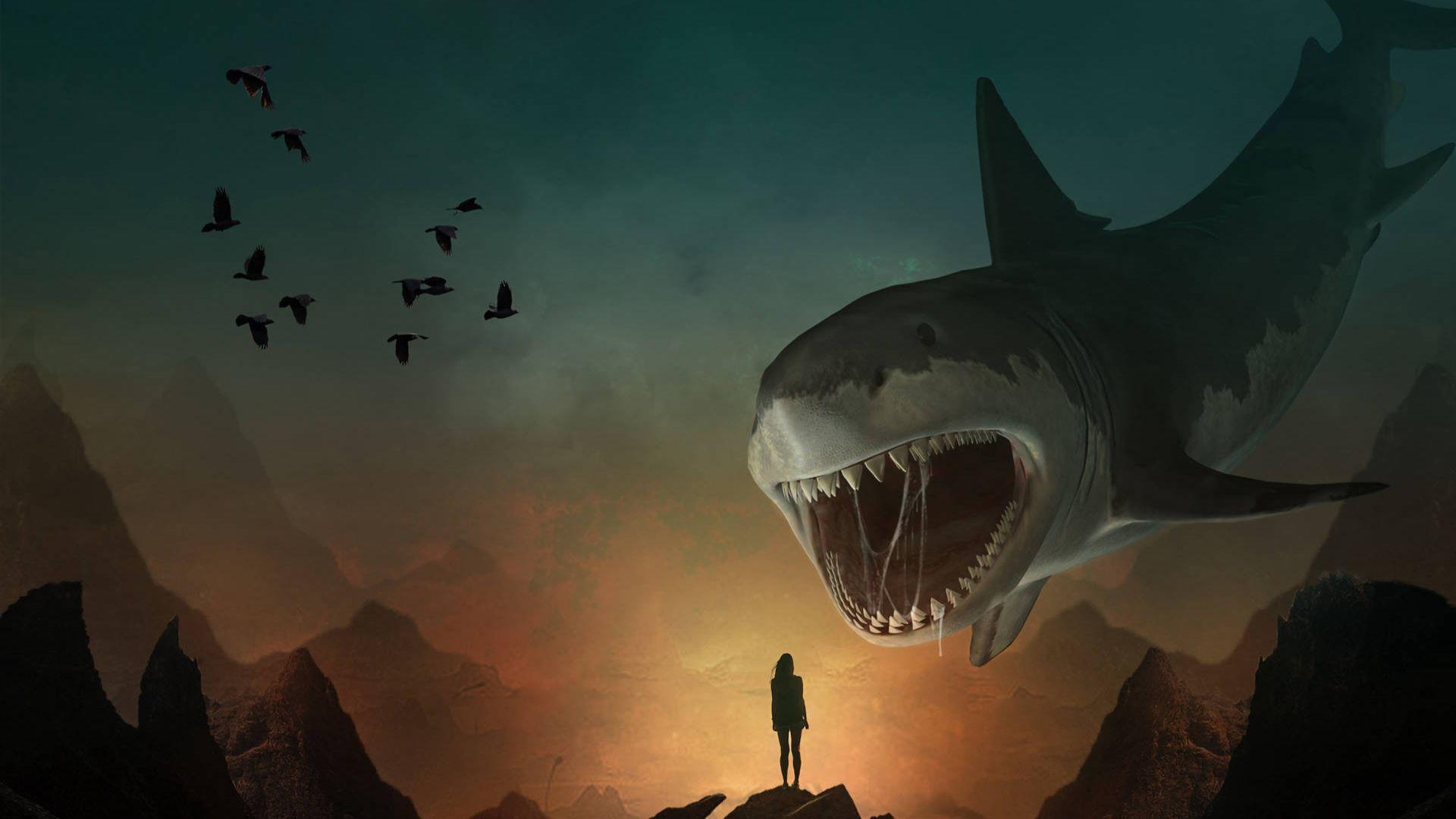 Shark Aesthetic Wallpapers - Top Free Shark Aesthetic Backgrounds ...