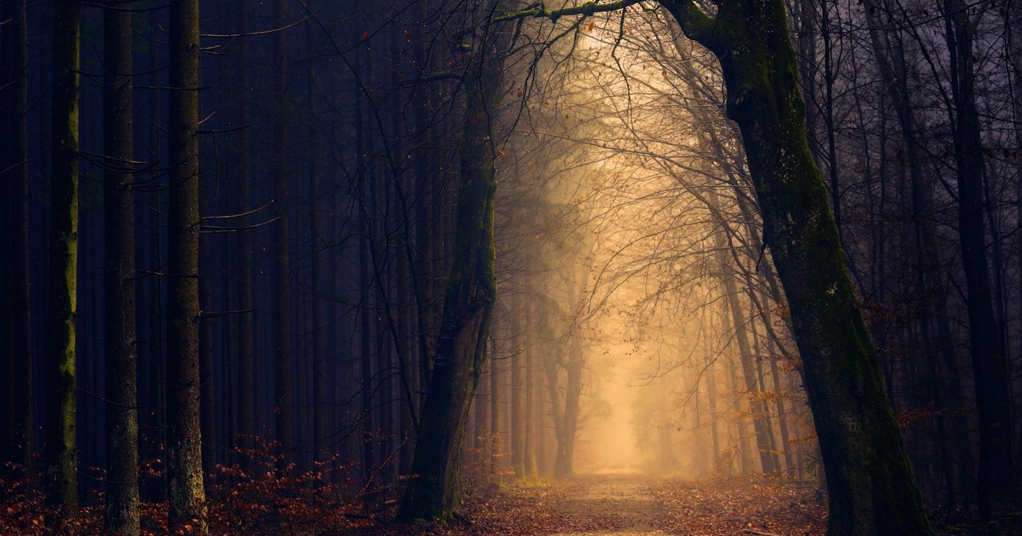 Calvinist Wallpapers - Top Free Calvinist Backgrounds - WallpaperAccess