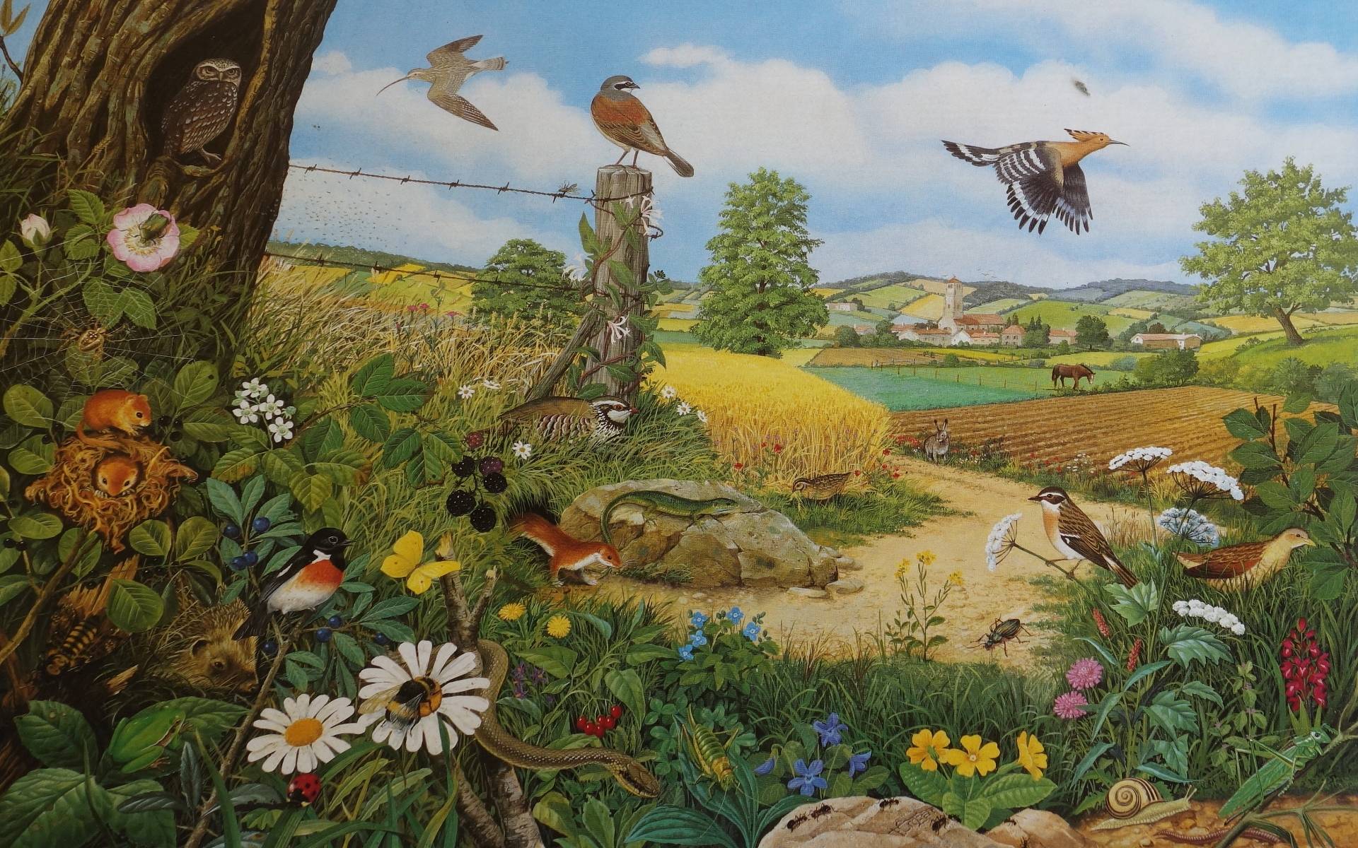 Spring Awakening Wallpapers - Top Free Spring Awakening Backgrounds ...