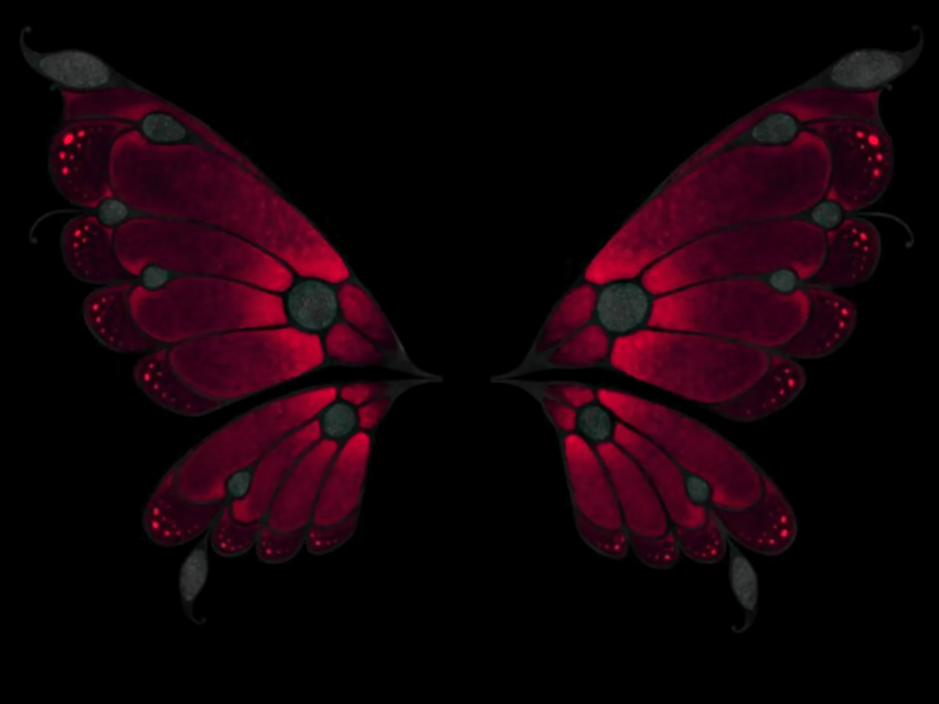 Colorful Wings Wallpapers - Top Free Colorful Wings Backgrounds ...