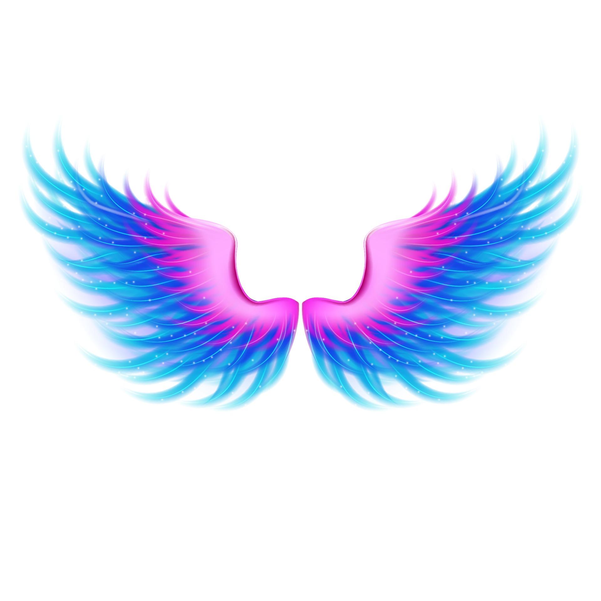 Colorful Wings Wallpapers - Top Free Colorful Wings Backgrounds ...