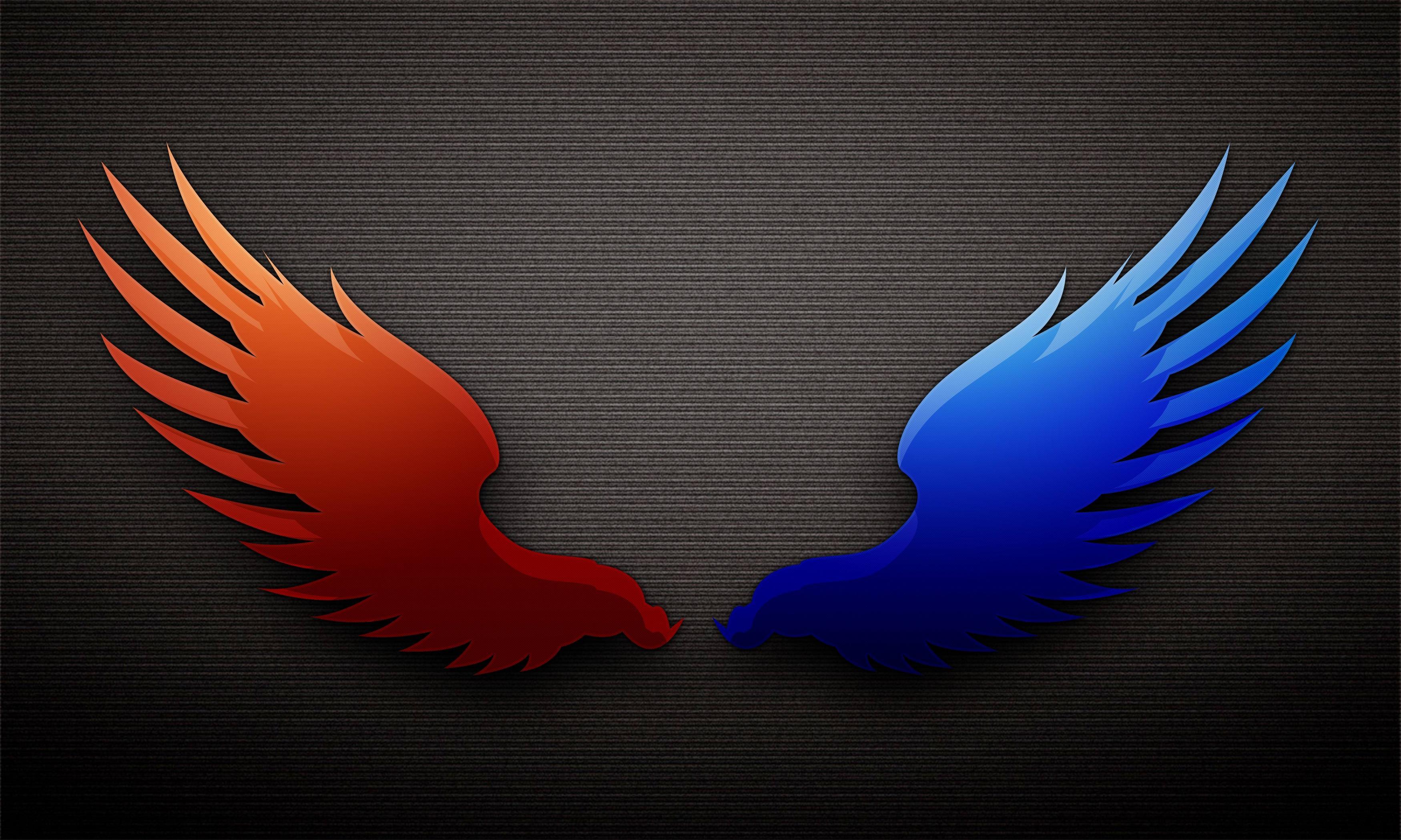 Colorful Wings Wallpapers - Top Free Colorful Wings Backgrounds ...