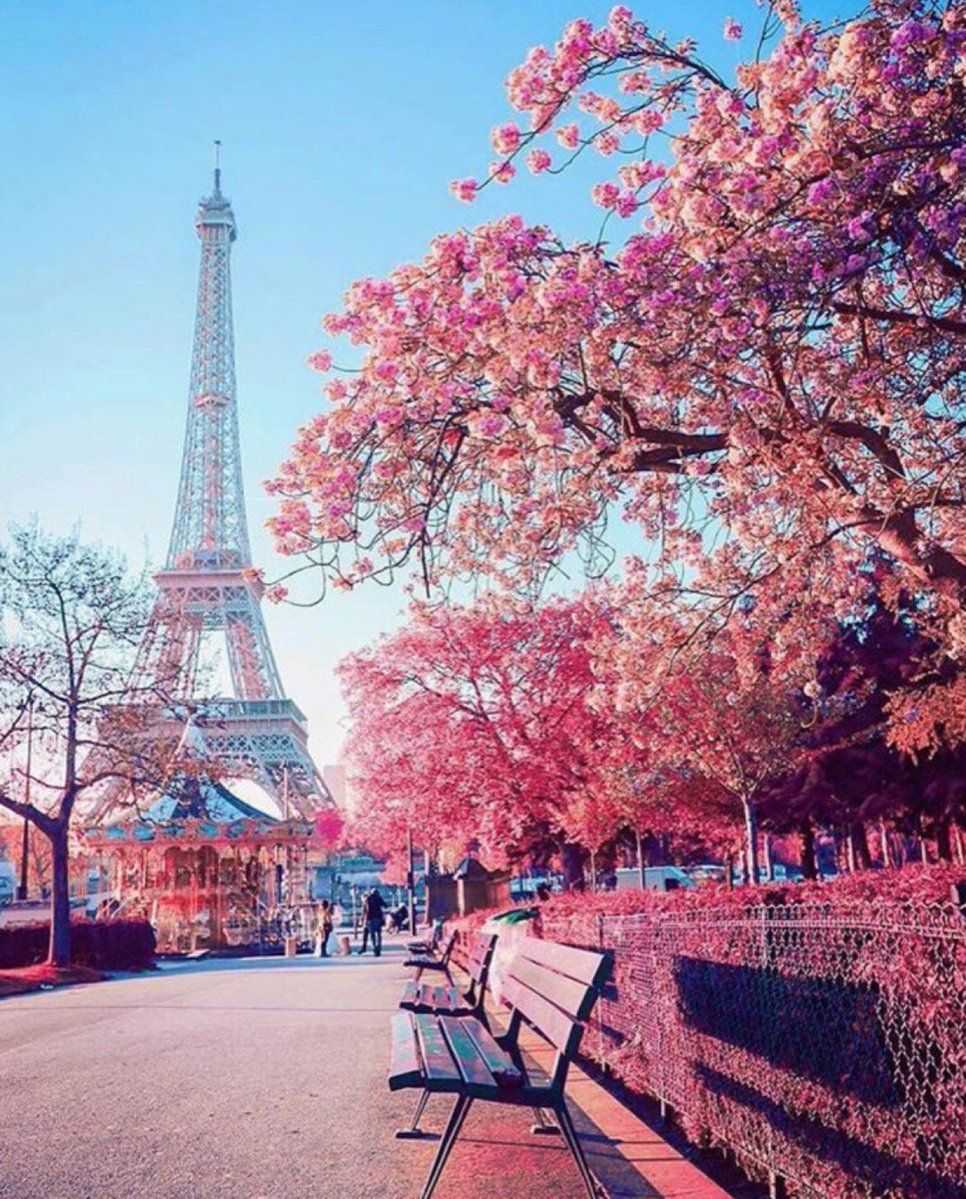 Black and Pink Paris Wallpapers - Top Free Black and Pink Paris ...
