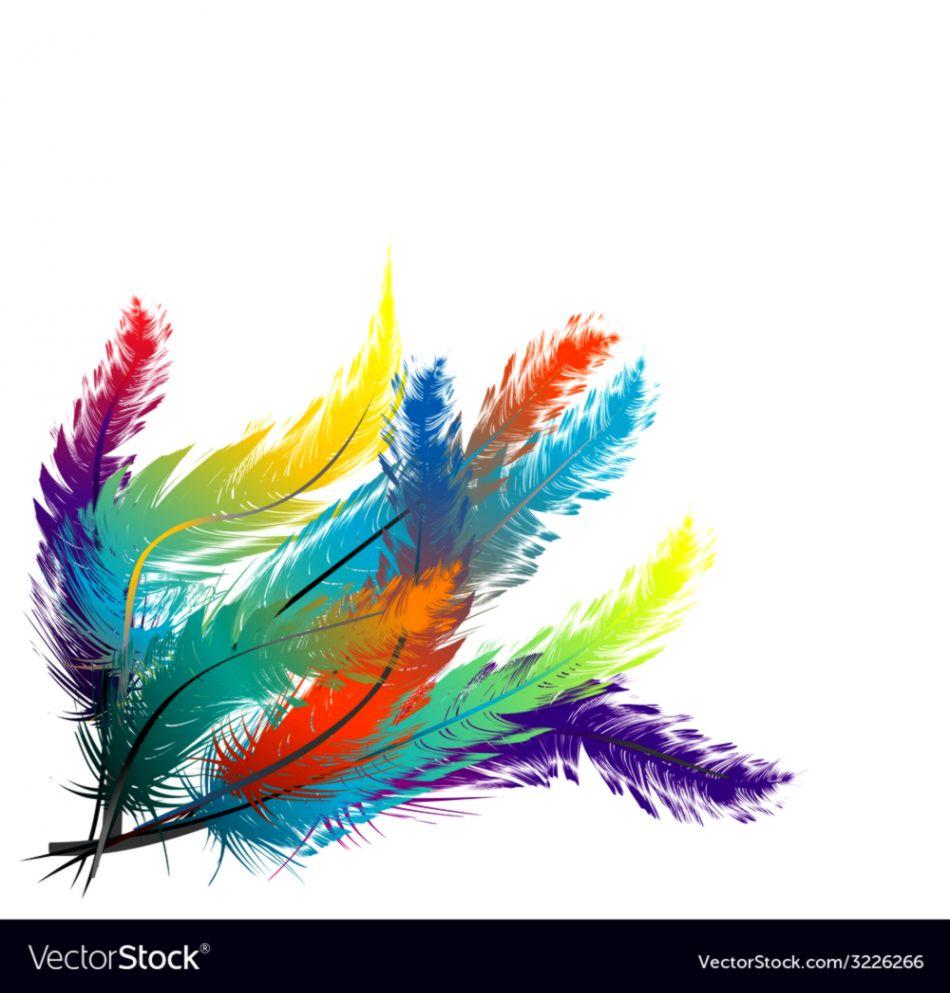 Colorful Feather Wallpapers - Top Free Colorful Feather Backgrounds ...