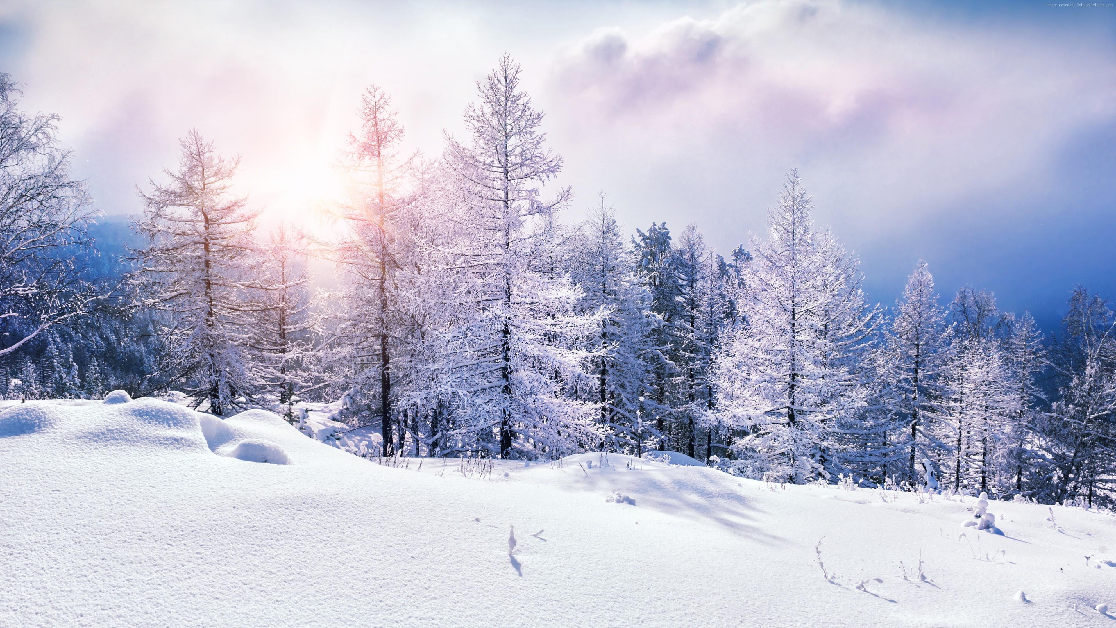Snow 8k Wallpapers - Top Free Snow 8k Backgrounds - WallpaperAccess