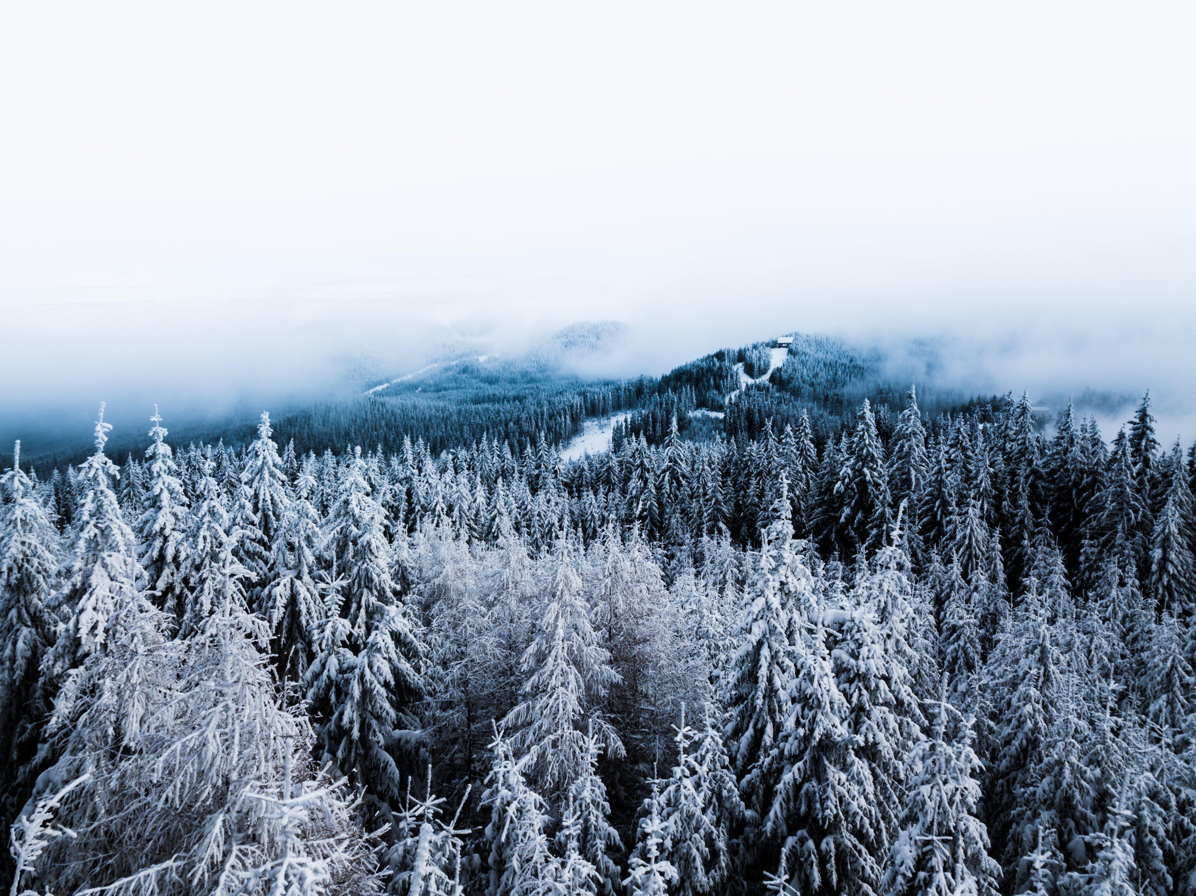 Snow 8k Wallpapers - Top Free Snow 8k Backgrounds - WallpaperAccess